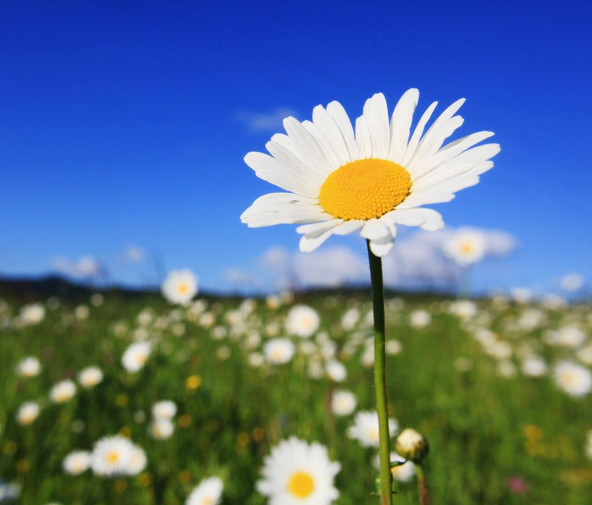 Samsung Galaxy Tab S2 Wallpapers - Top Free Samsung Galaxy Tab S2 ...