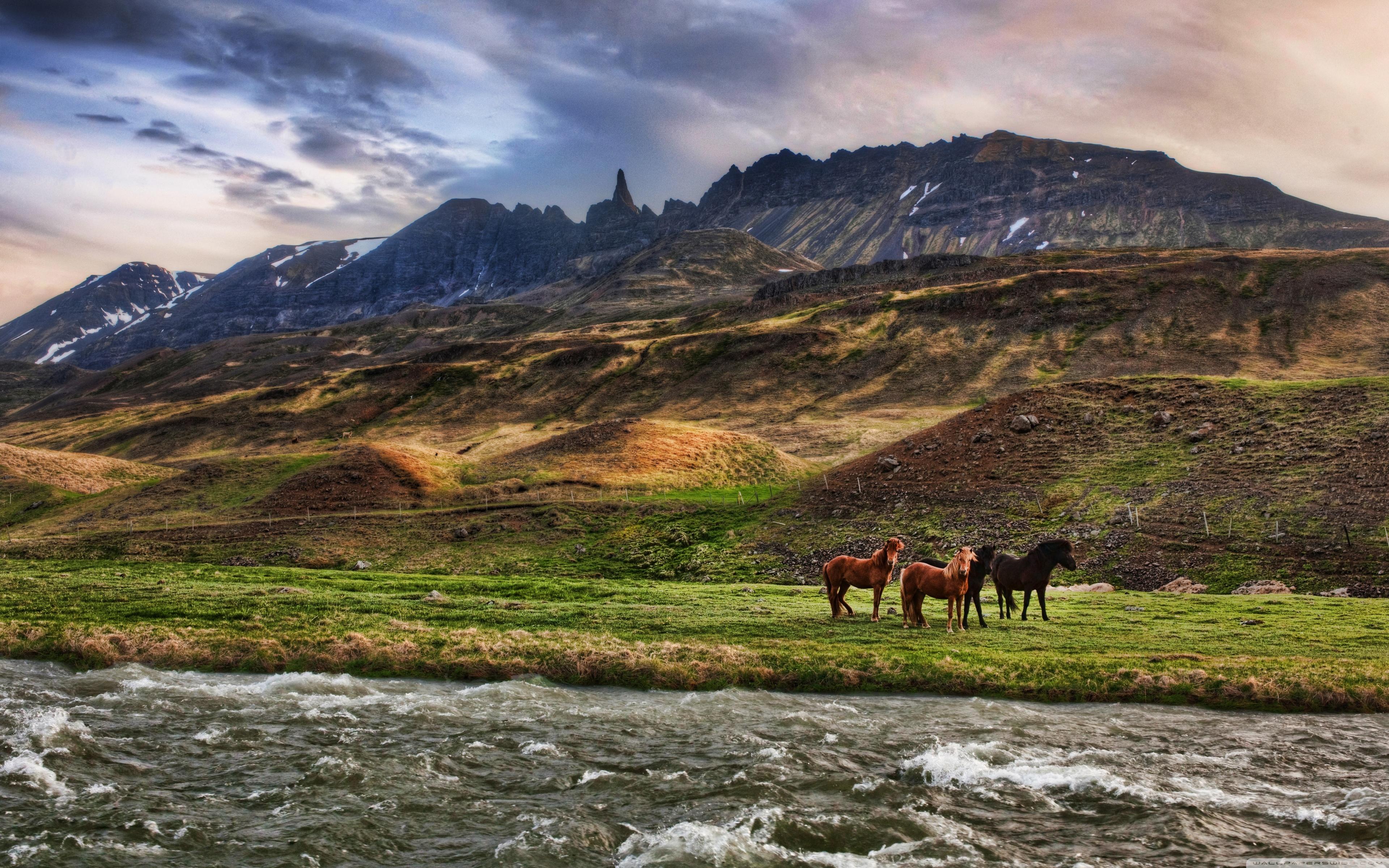 Horse Landscape Wallpapers - Top Free Horse Landscape Backgrounds ...