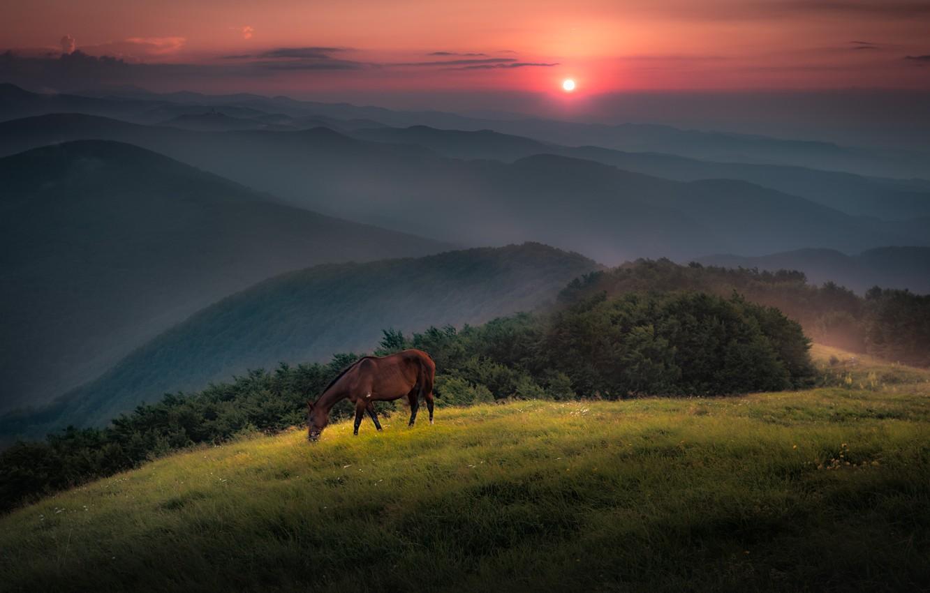 Horse Landscape Wallpapers - Top Free Horse Landscape Backgrounds ...