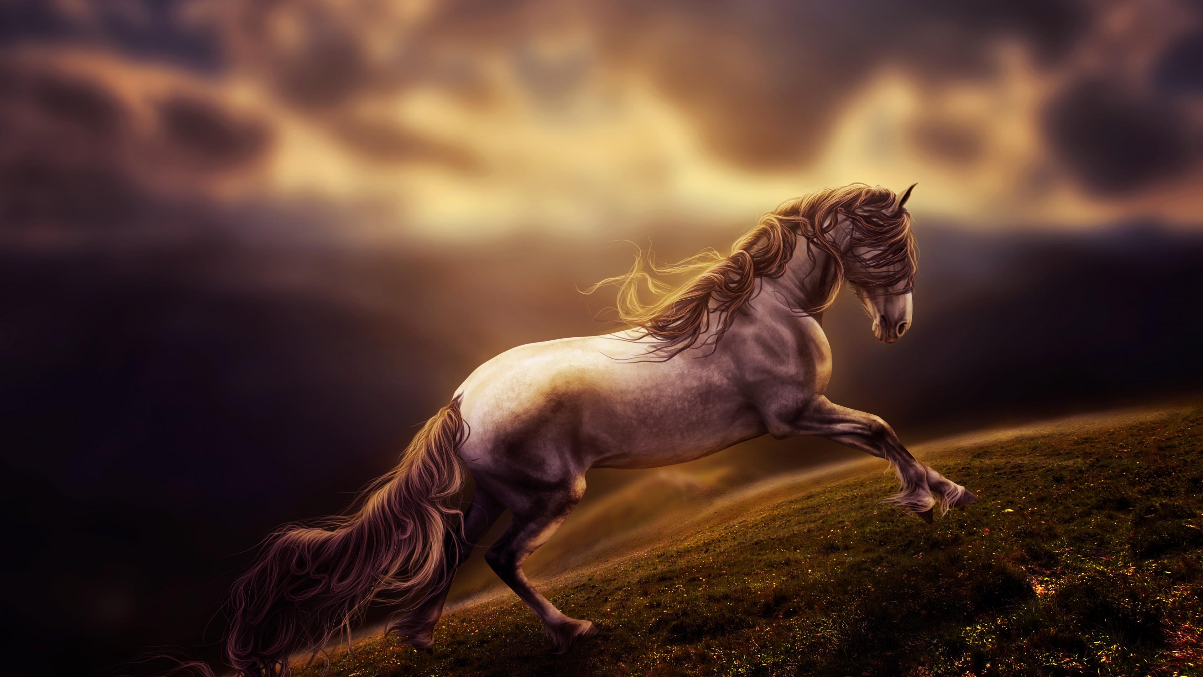 Horse Landscape Wallpapers - Top Free Horse Landscape Backgrounds ...