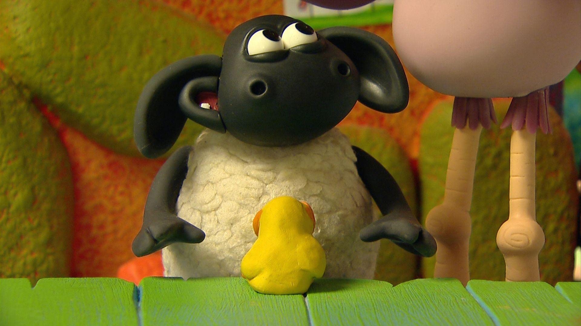 Timmy Time Wallpapers - Top Free Timmy Time Backgrounds - WallpaperAccess