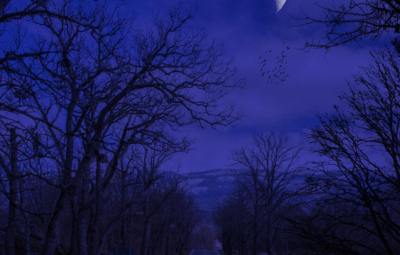 Fall Night Wallpapers - Top Free Fall Night Backgrounds - WallpaperAccess