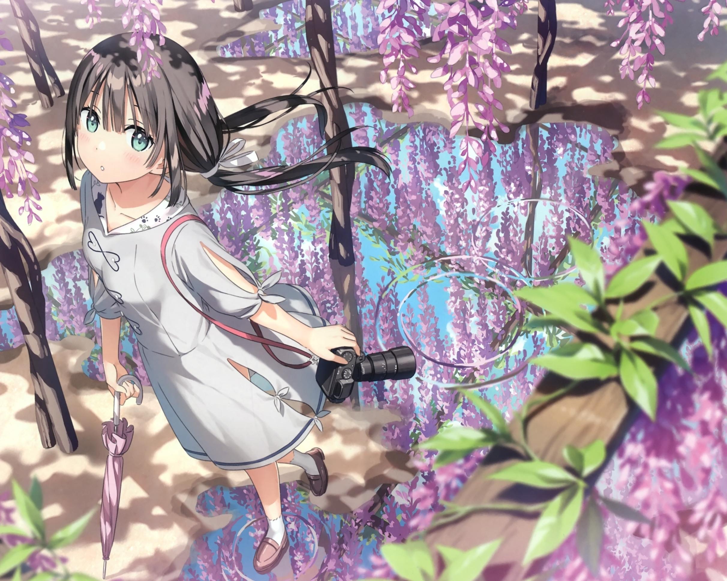Anime Girl Spring Wallpapers - Top Free Anime Girl Spring Backgrounds ...