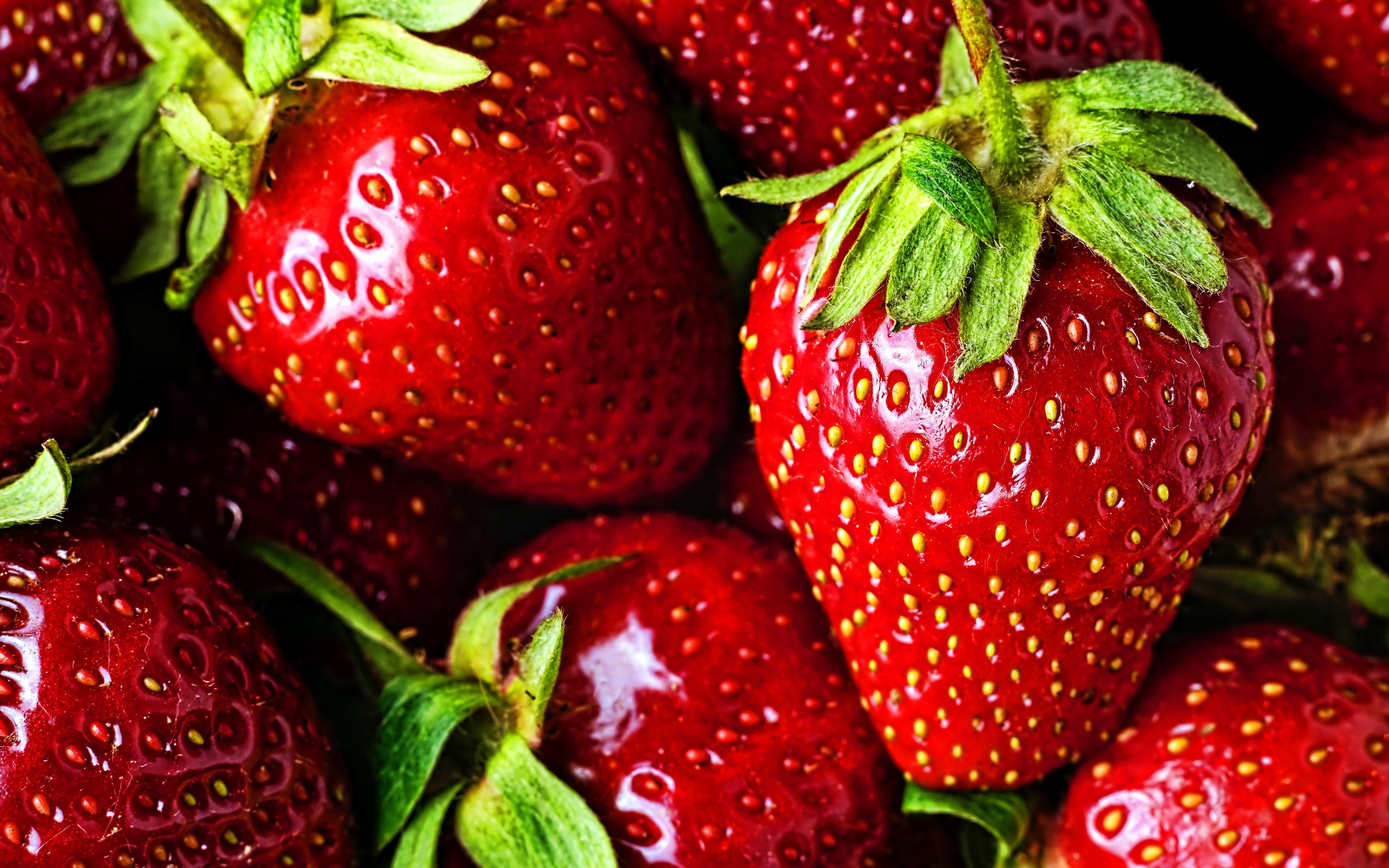4K Strawberry Wallpapers - Top Free 4K Strawberry Backgrounds ...