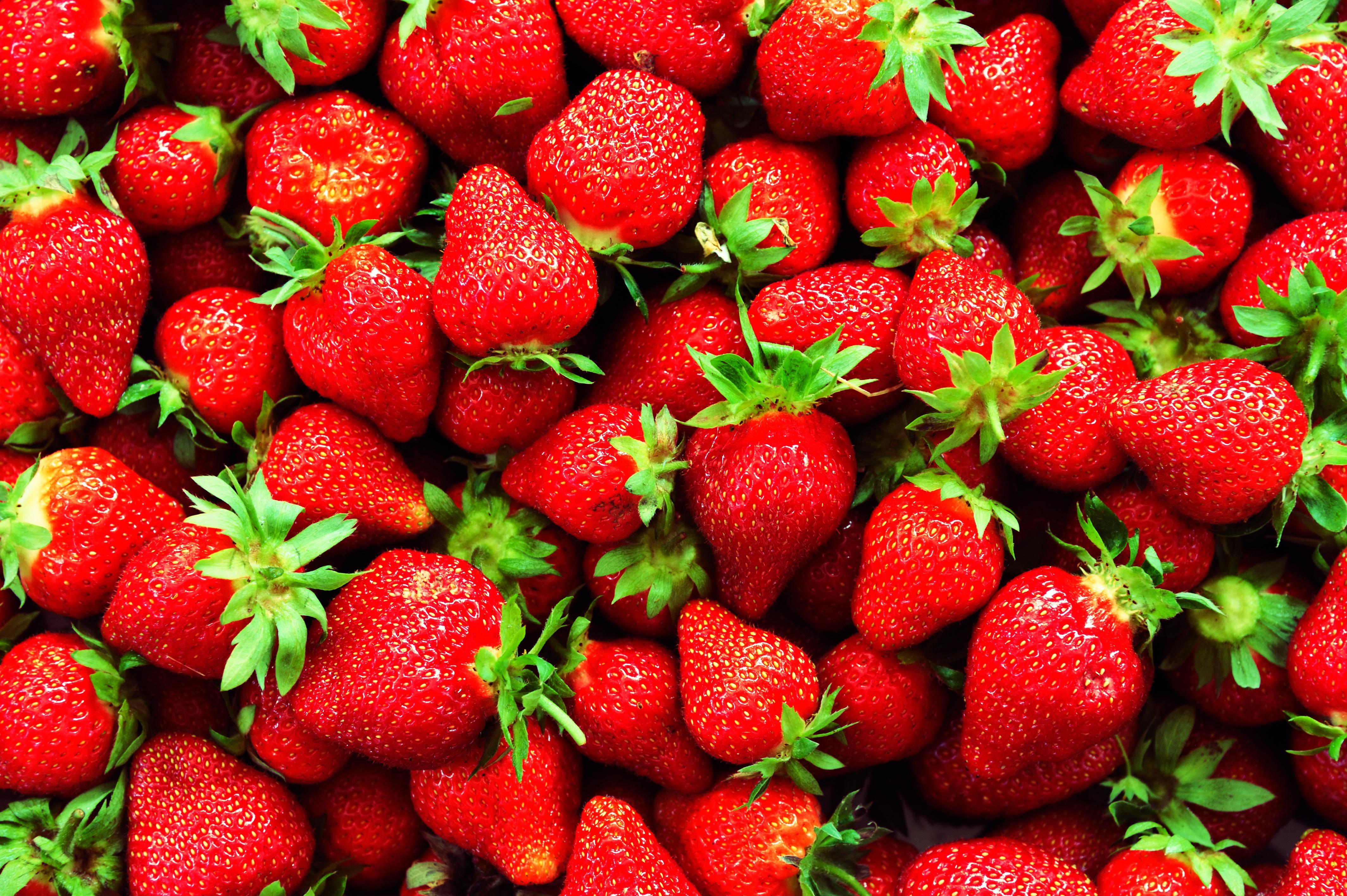 4K Strawberry Wallpapers - Top Free 4K Strawberry Backgrounds ...