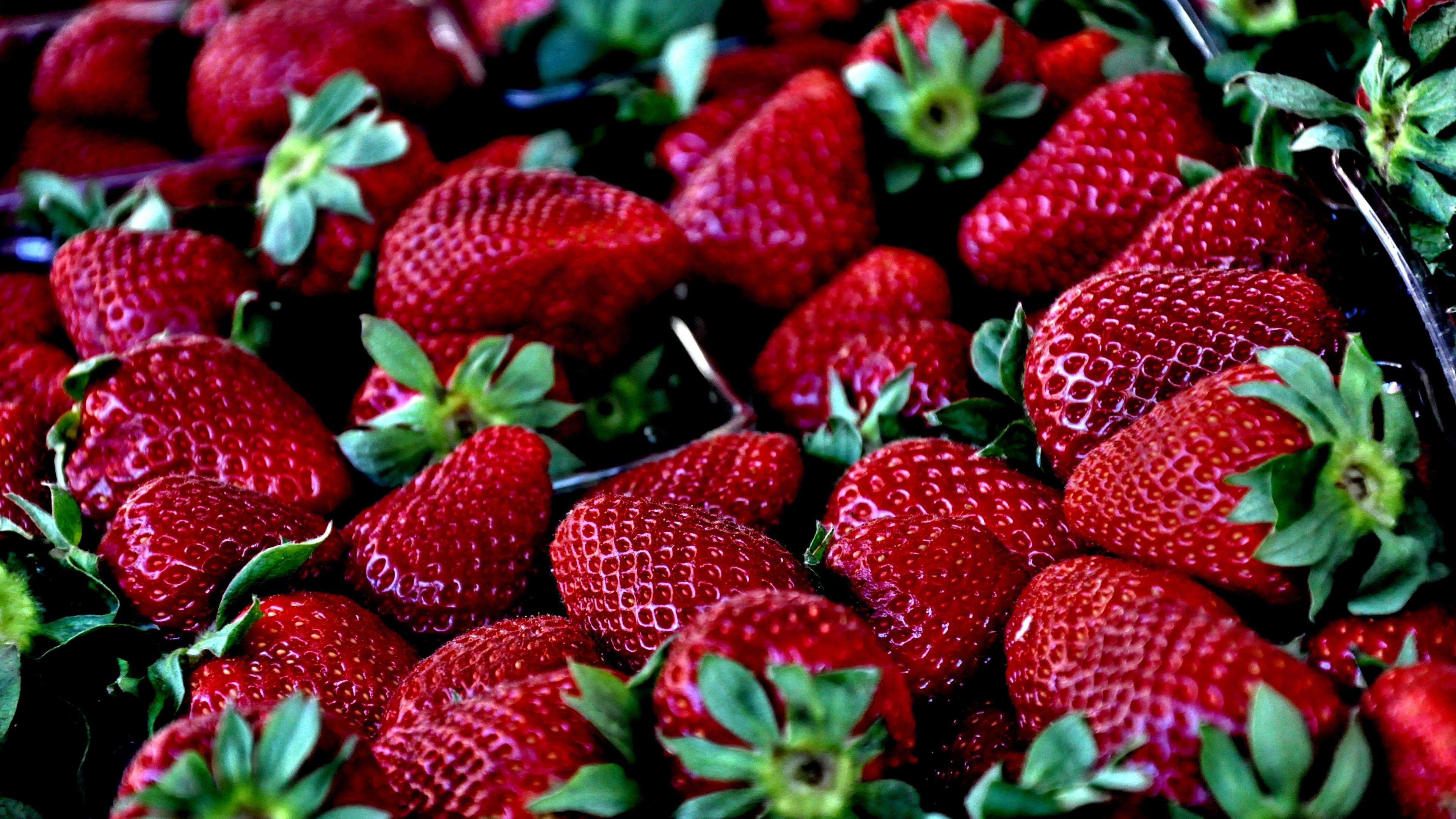 4K Strawberry Wallpapers - Top Free 4K Strawberry Backgrounds ...