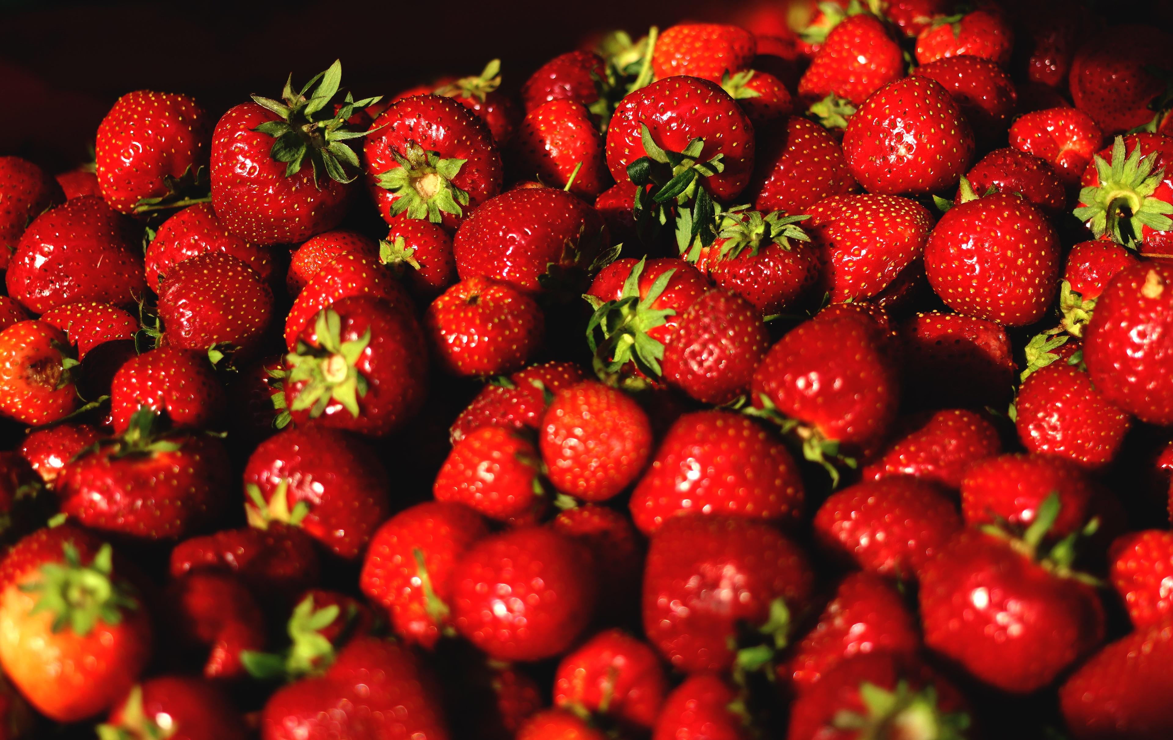 4K Strawberry Wallpapers - Top Free 4K Strawberry Backgrounds ...