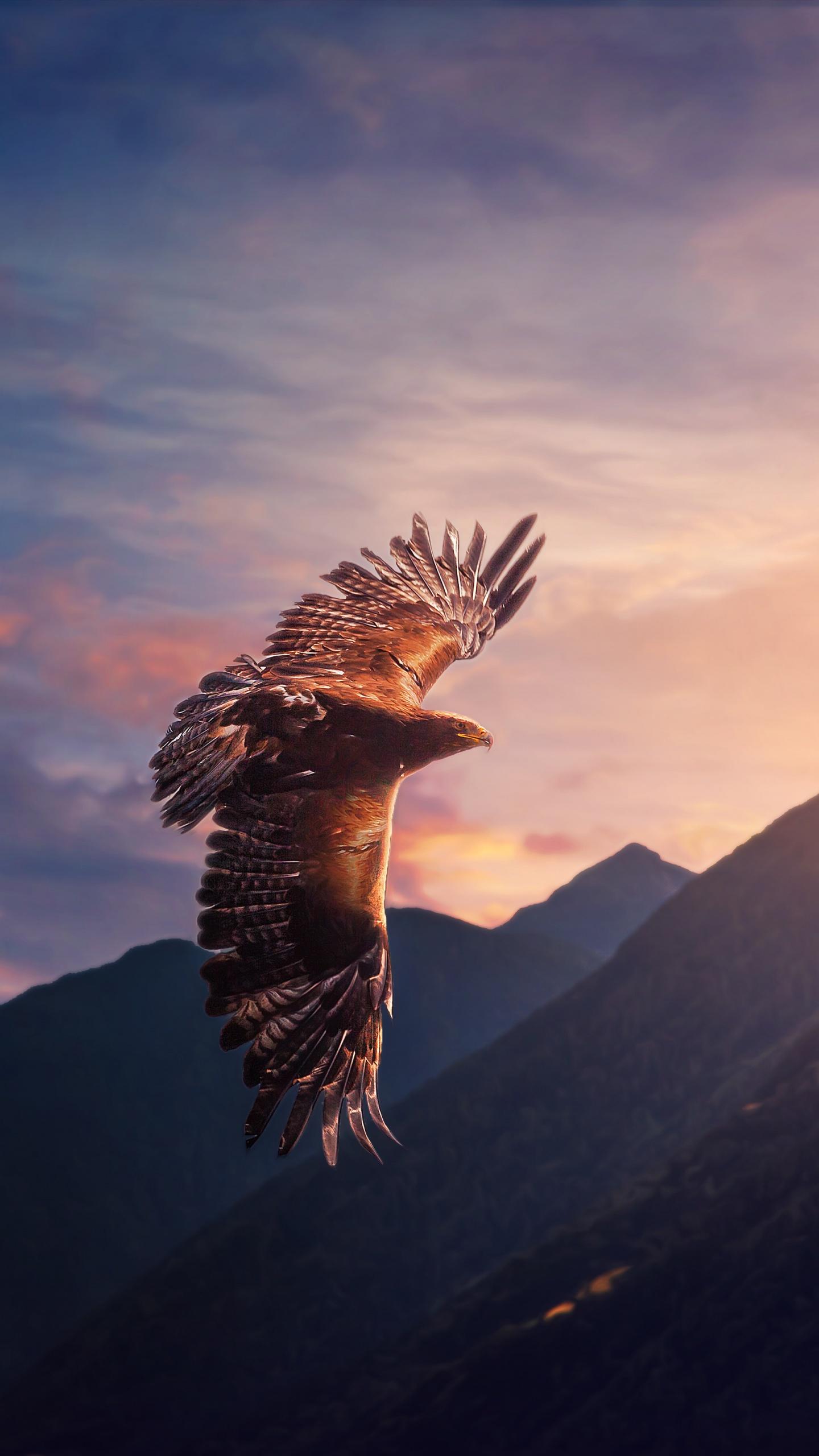 Eagle Flying Wallpapers - Top Free Eagle Flying Backgrounds ...