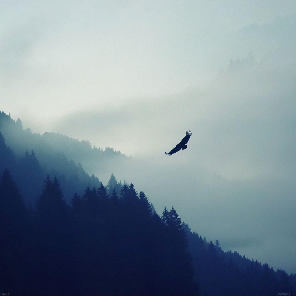 Eagle Flying Wallpapers - Top Free Eagle Flying Backgrounds ...