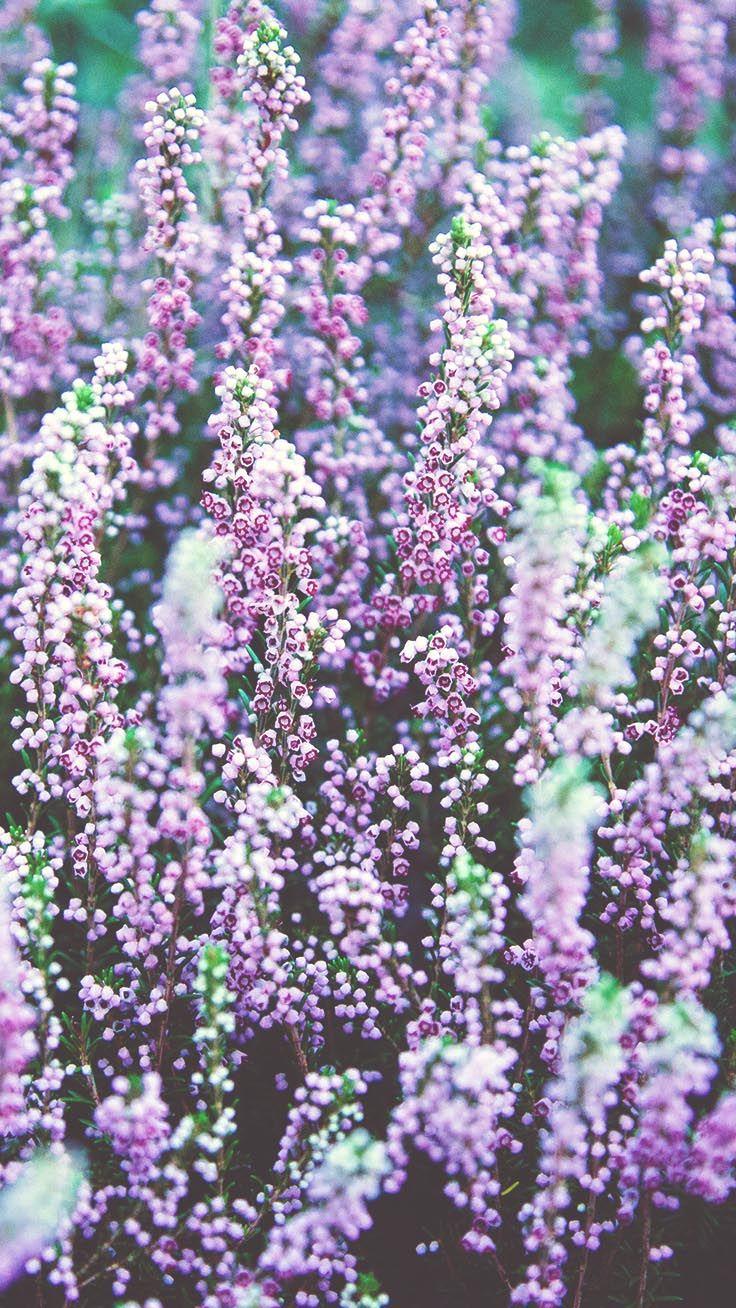 New England Spring Wallpapers - Top Free New England Spring Backgrounds ...