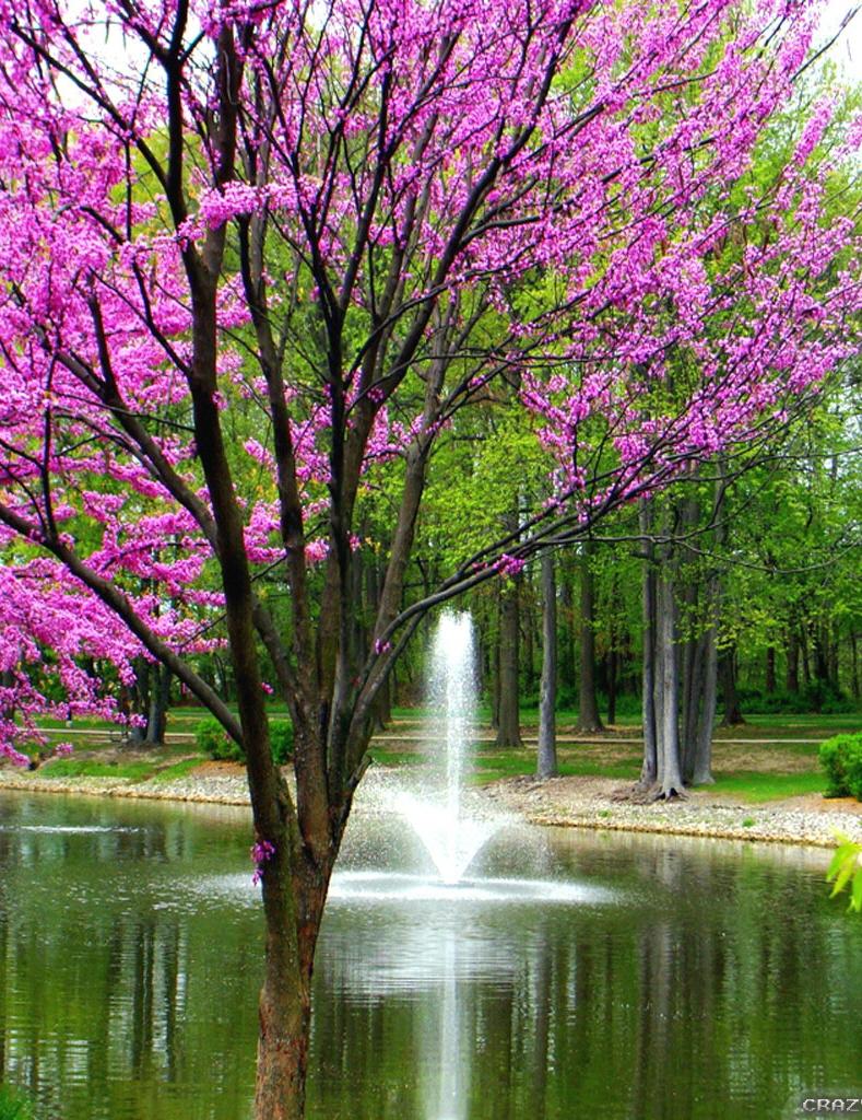 New England Spring Wallpapers - Top Free New England Spring Backgrounds ...