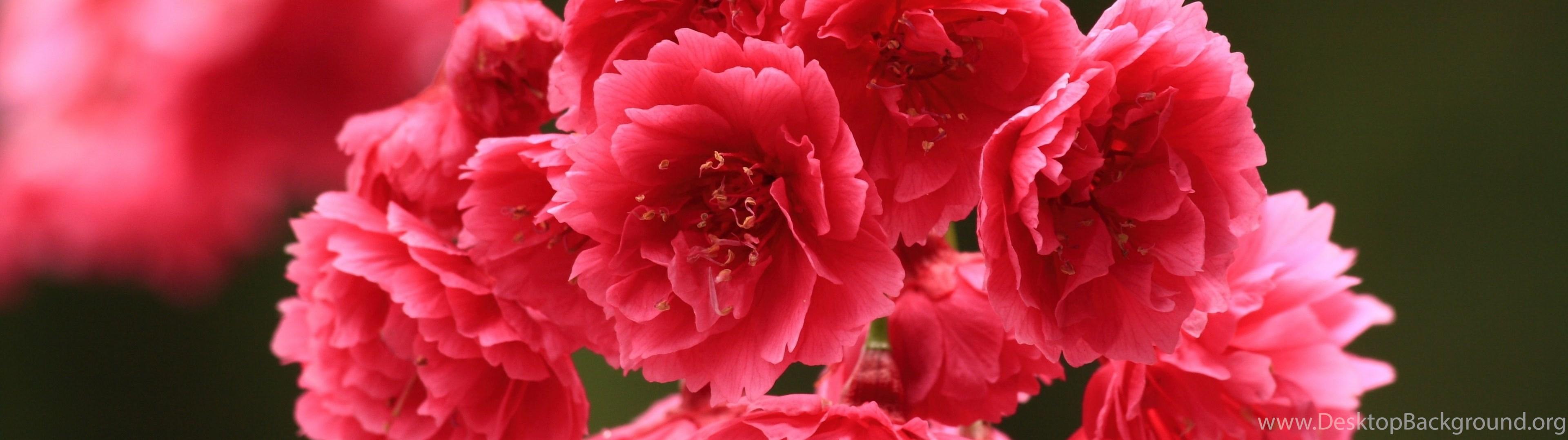 New England Spring Wallpapers - Top Free New England Spring Backgrounds ...