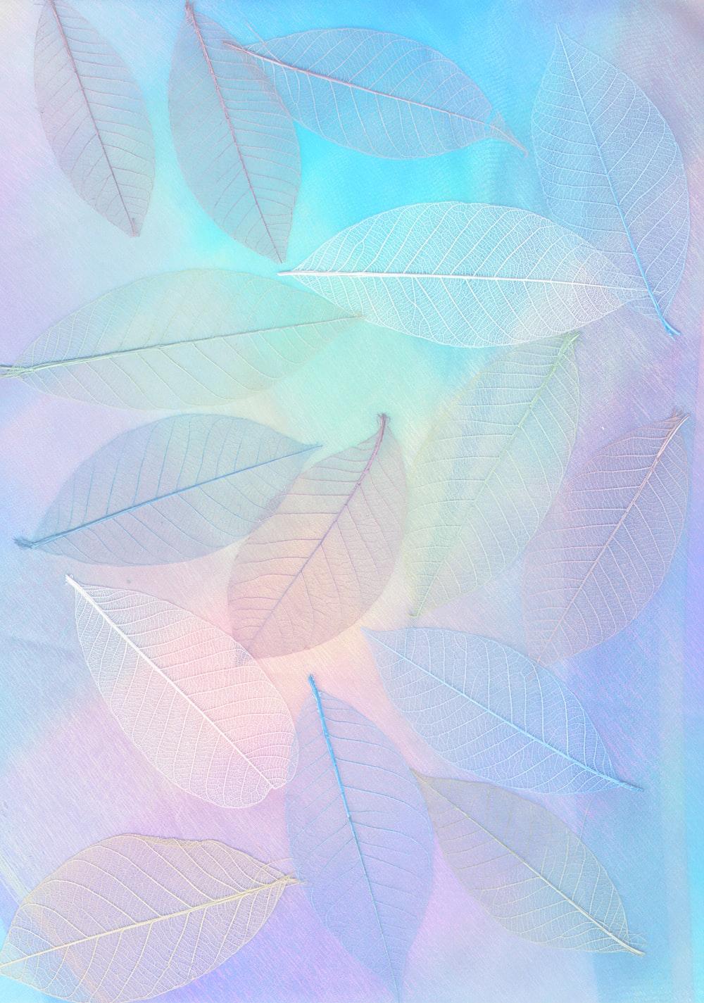 Light Pastel Wallpapers - Top Free Light Pastel Backgrounds ...