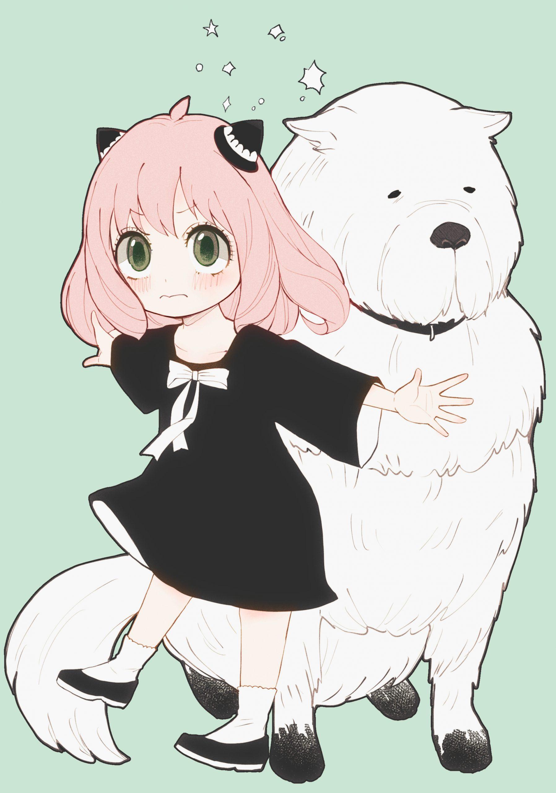 Anya Forger Wallpapers - Top Free Anya Forger Backgrounds - WallpaperAccess