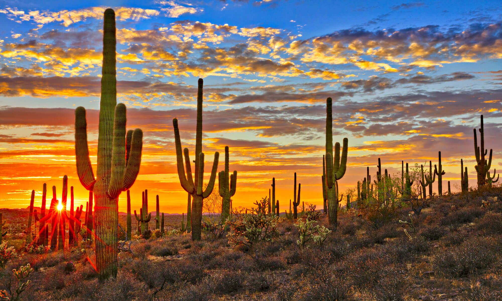 2000x1200 Wallpapers - Top Free 2000x1200 Backgrounds - WallpaperAccess