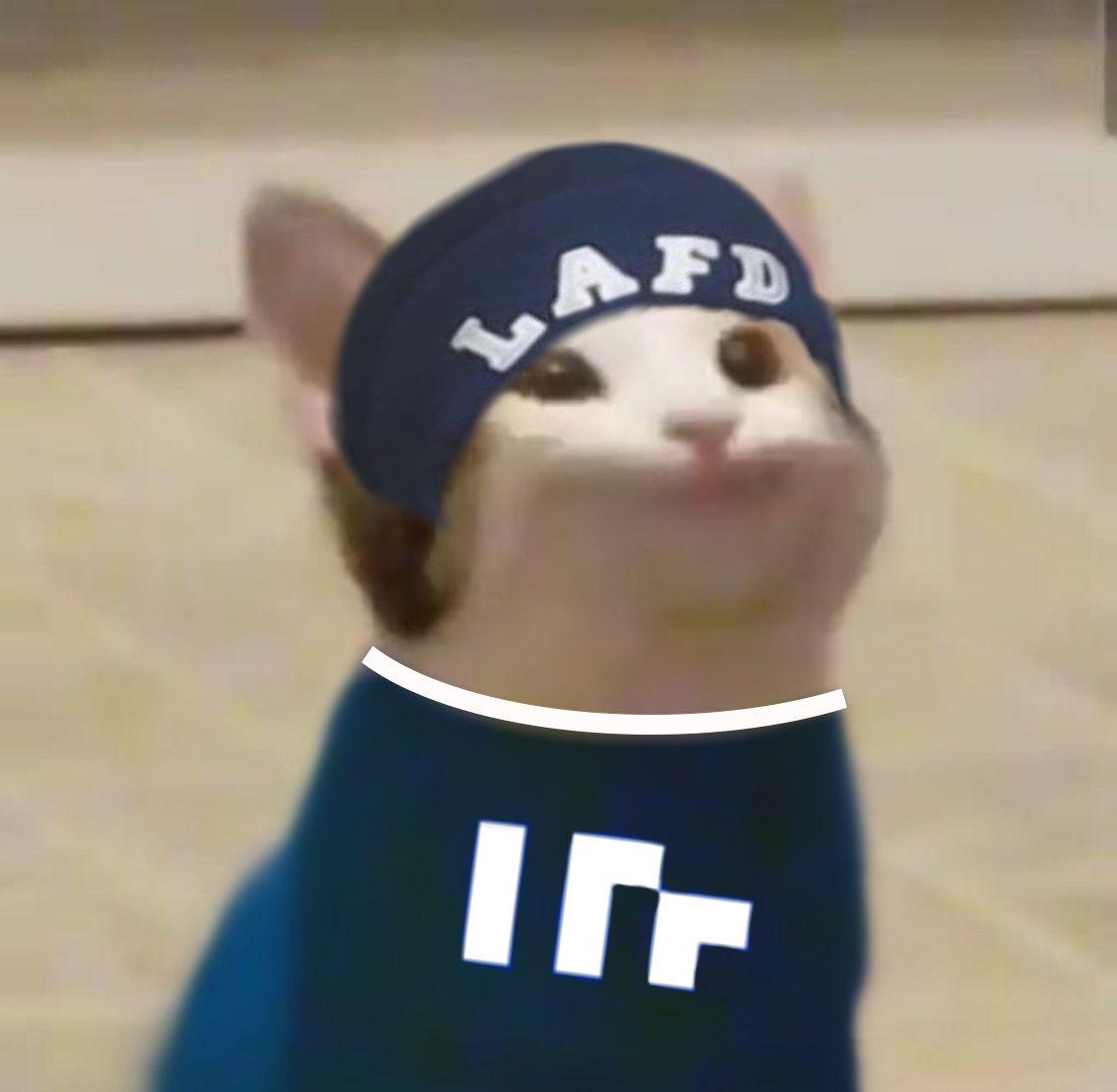 Popcat Wallpapers - Top Free Popcat Backgrounds - WallpaperAccess