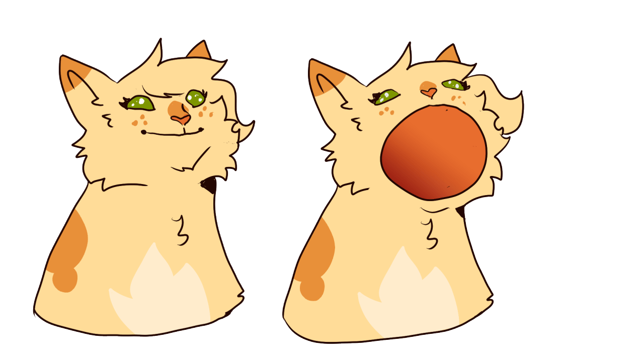 Popcat Wallpapers - Top Free Popcat Backgrounds - WallpaperAccess