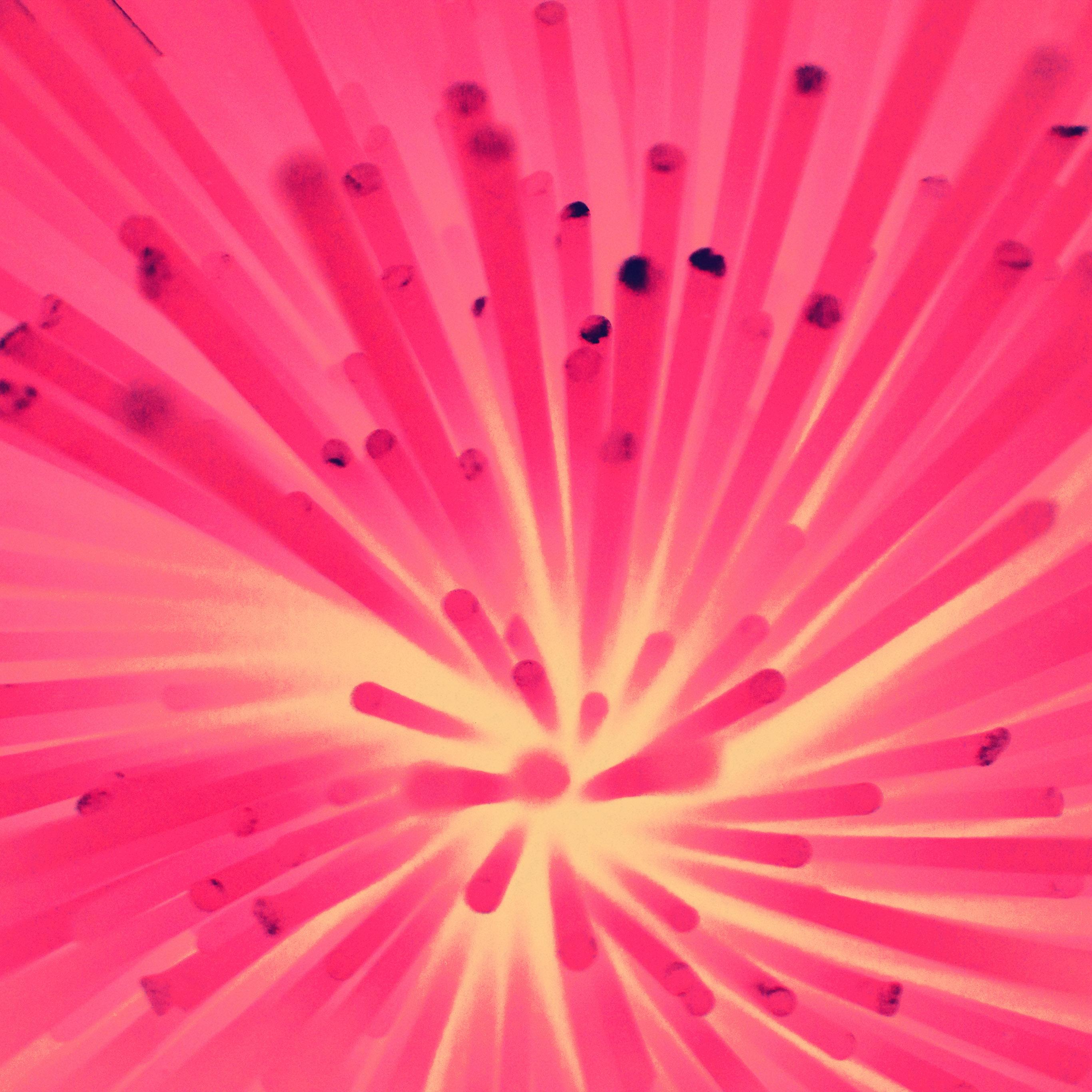 Pink Gif Wallpapers - Top Free Pink Gif Backgrounds - WallpaperAccess