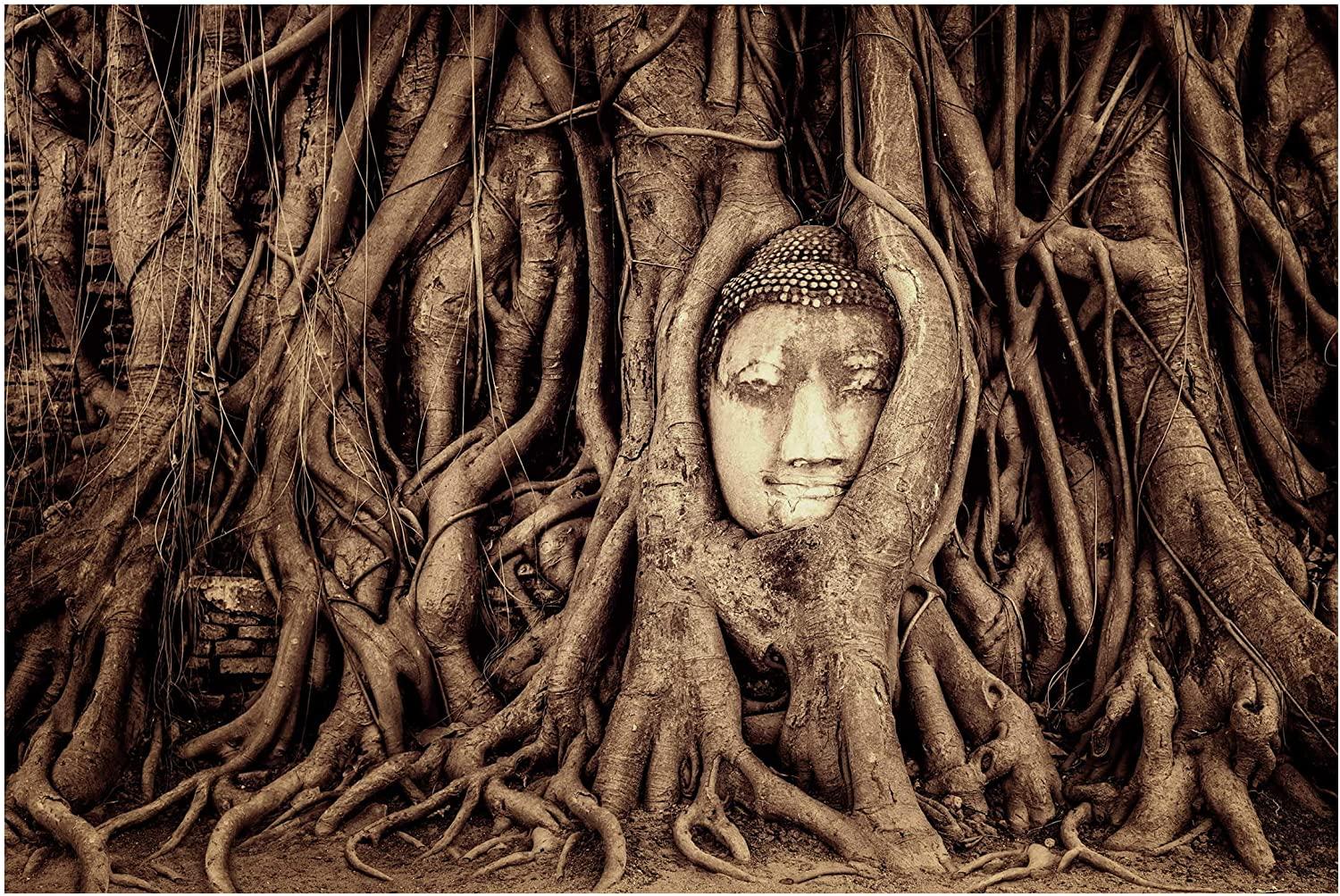 Tree Root Wallpapers - Top Free Tree Root Backgrounds - WallpaperAccess