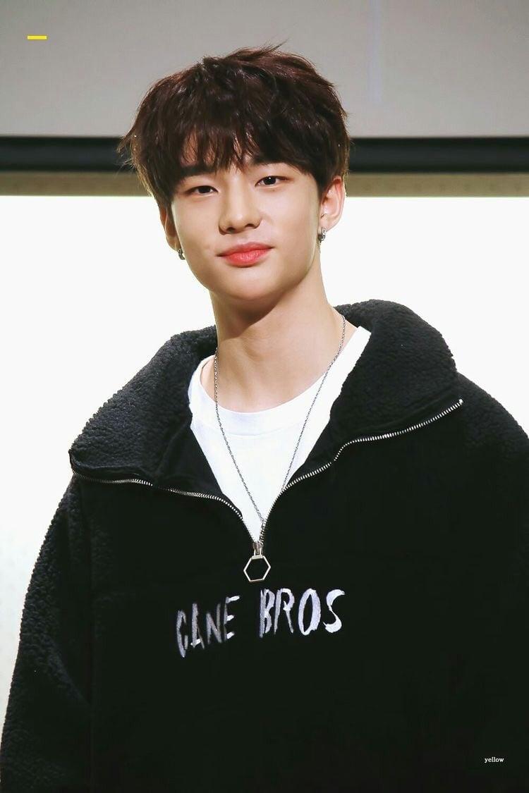 Hyun-Jin Stray Kids Wallpapers - Top Free Hyun-Jin Stray Kids Backgrounds - WallpaperAccess