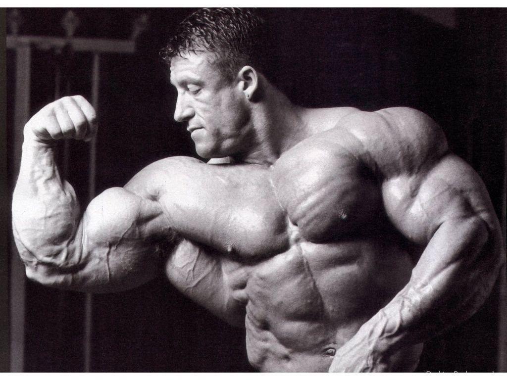 Body Builder Wallpapers - Top Free Body Builder Backgrounds ...