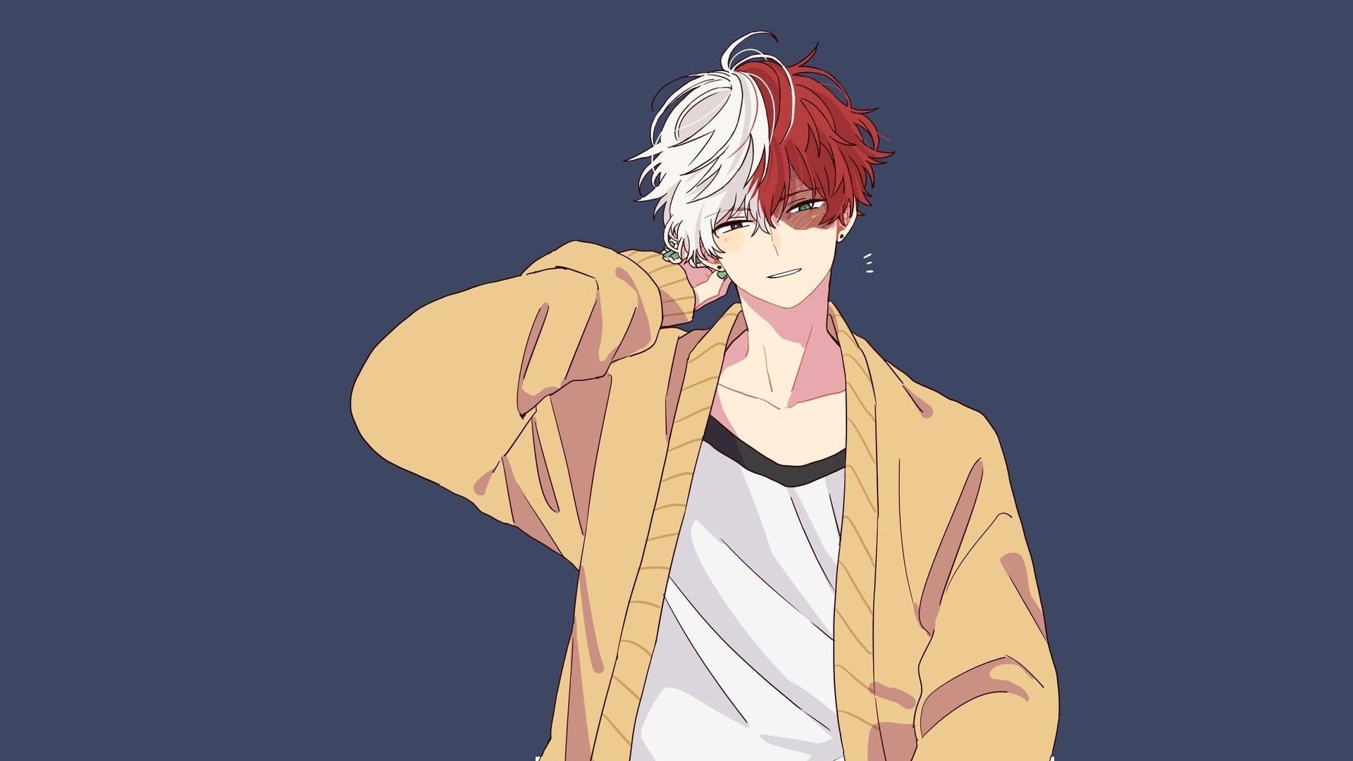 Todoroki Laptop Wallpapers - Top Free Todoroki Laptop Backgrounds ...