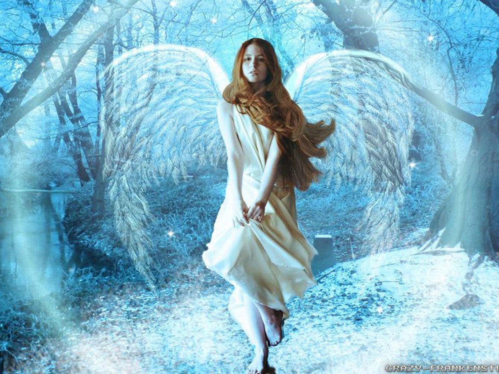 Christmas Angels Wallpapers - Top Free Christmas Angels Backgrounds ...