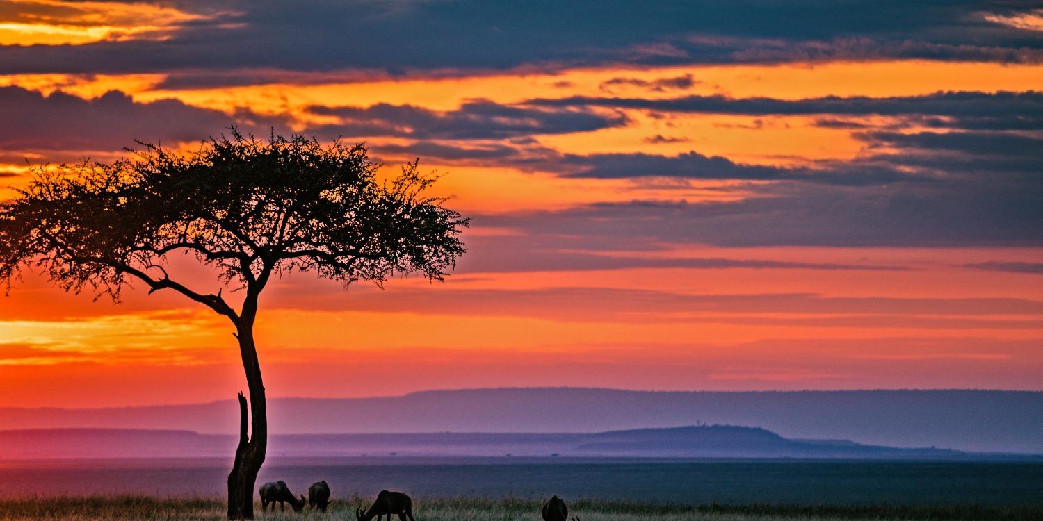 Maasai Mara Wallpapers - Top Free Maasai Mara Backgrounds - WallpaperAccess