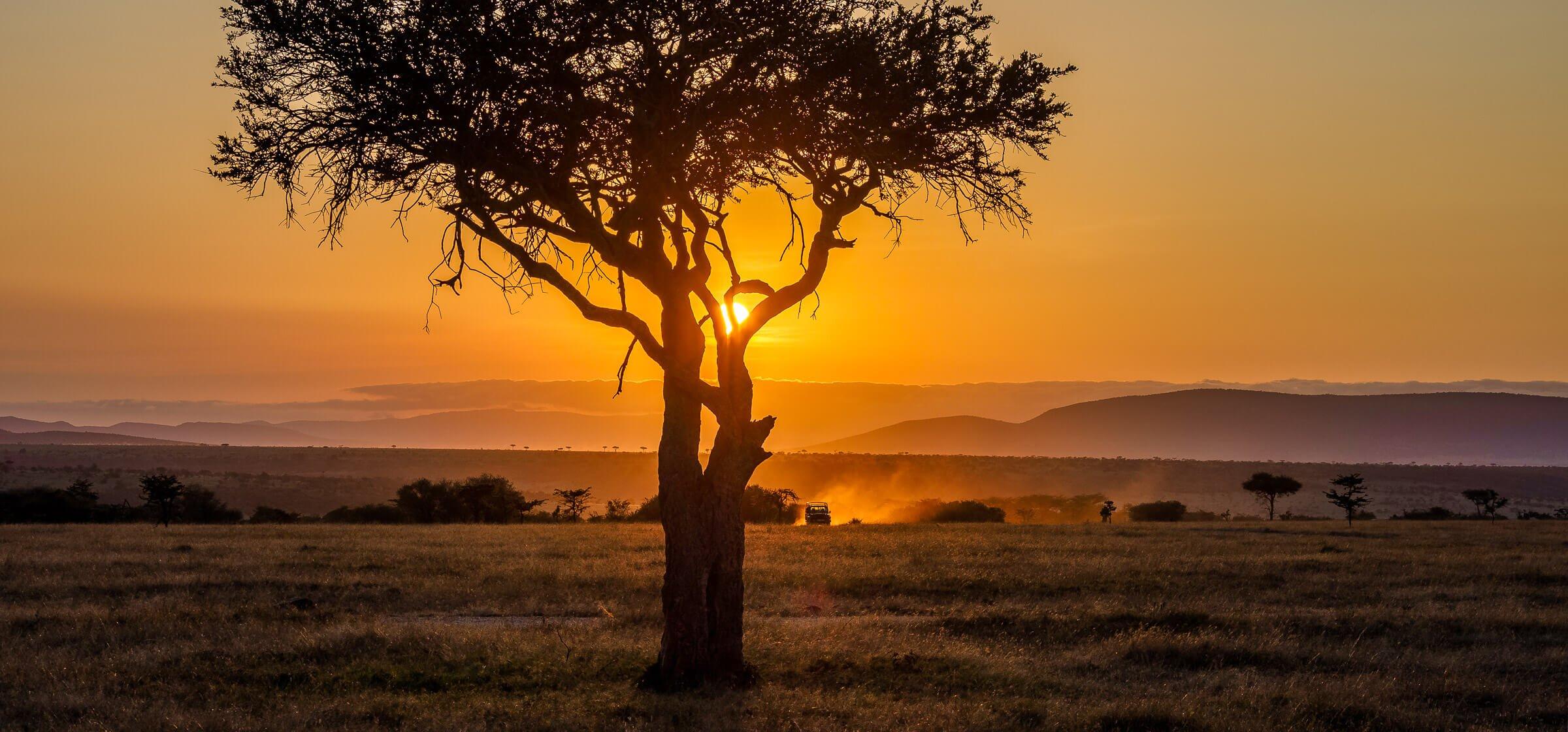 Masai Mara Wallpapers - Top Free Masai Mara Backgrounds - WallpaperAccess