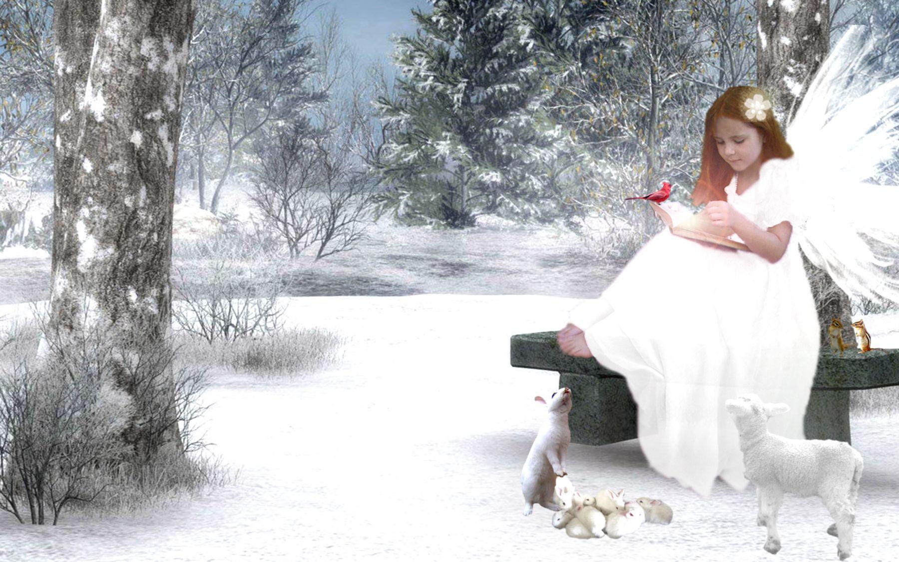 Christmas Angels Wallpapers - Top Free Christmas Angels Backgrounds ...