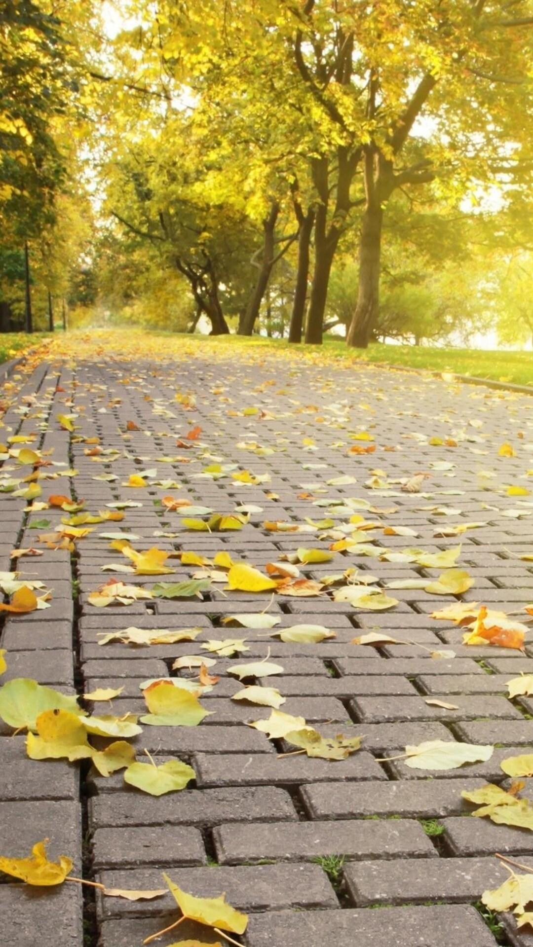 Yellow Leaf Wallpapers - Top Free Yellow Leaf Backgrounds - WallpaperAccess