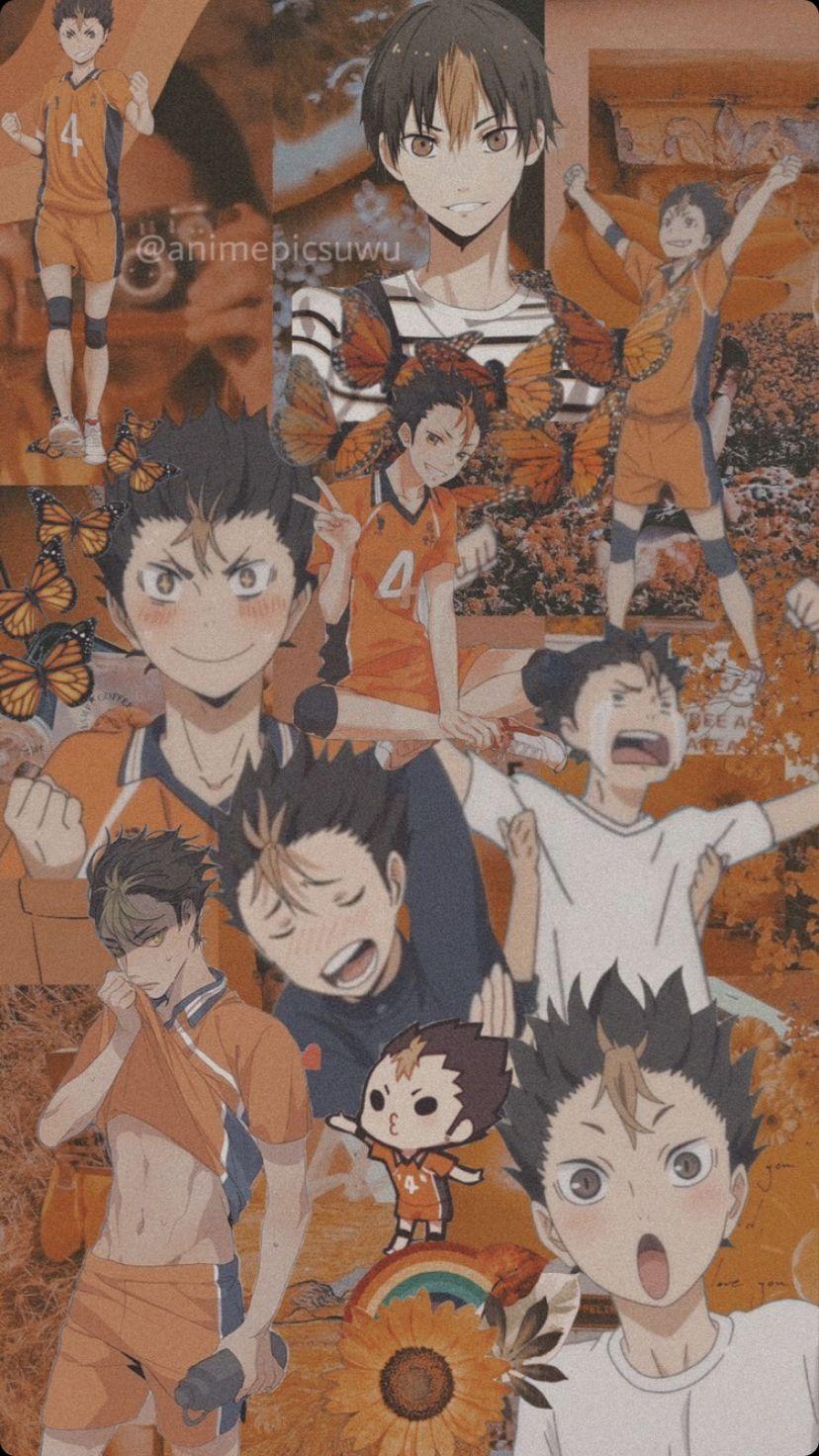 Noya Wallpapers - Top Free Noya Backgrounds - WallpaperAccess