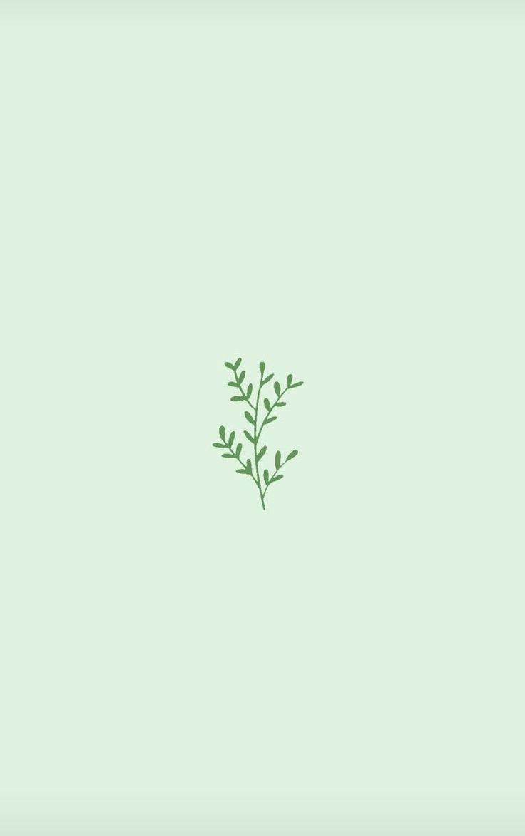 Green Minimalist Aesthetic Wallpapers - Top Free Green Minimalist ...