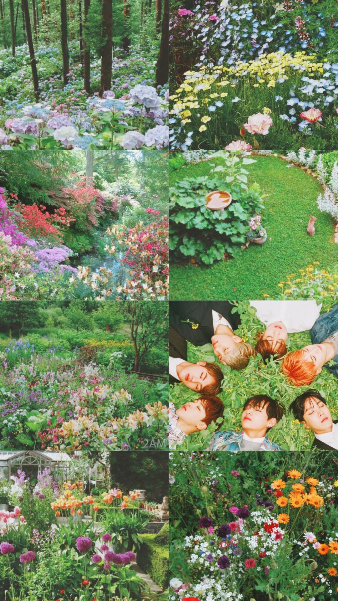 Bts Green Wallpapers - Top Free Bts Green Backgrounds - WallpaperAccess