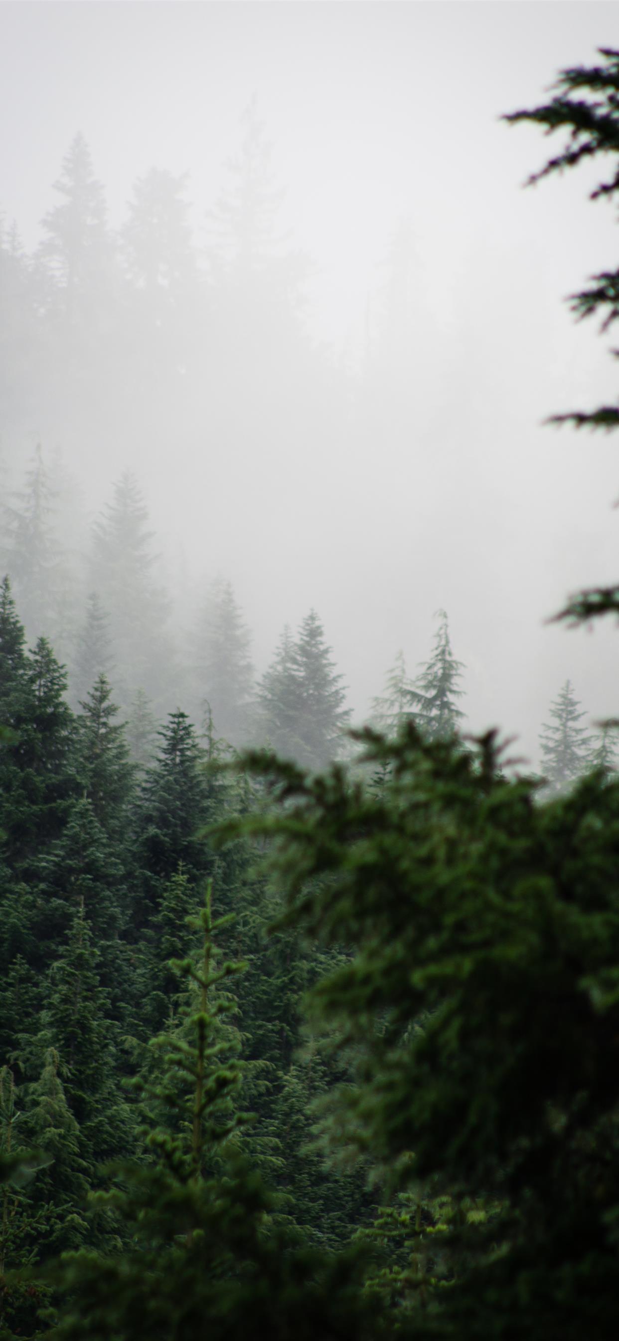 Alpine Green Wallpapers - Top Free Alpine Green Backgrounds ...