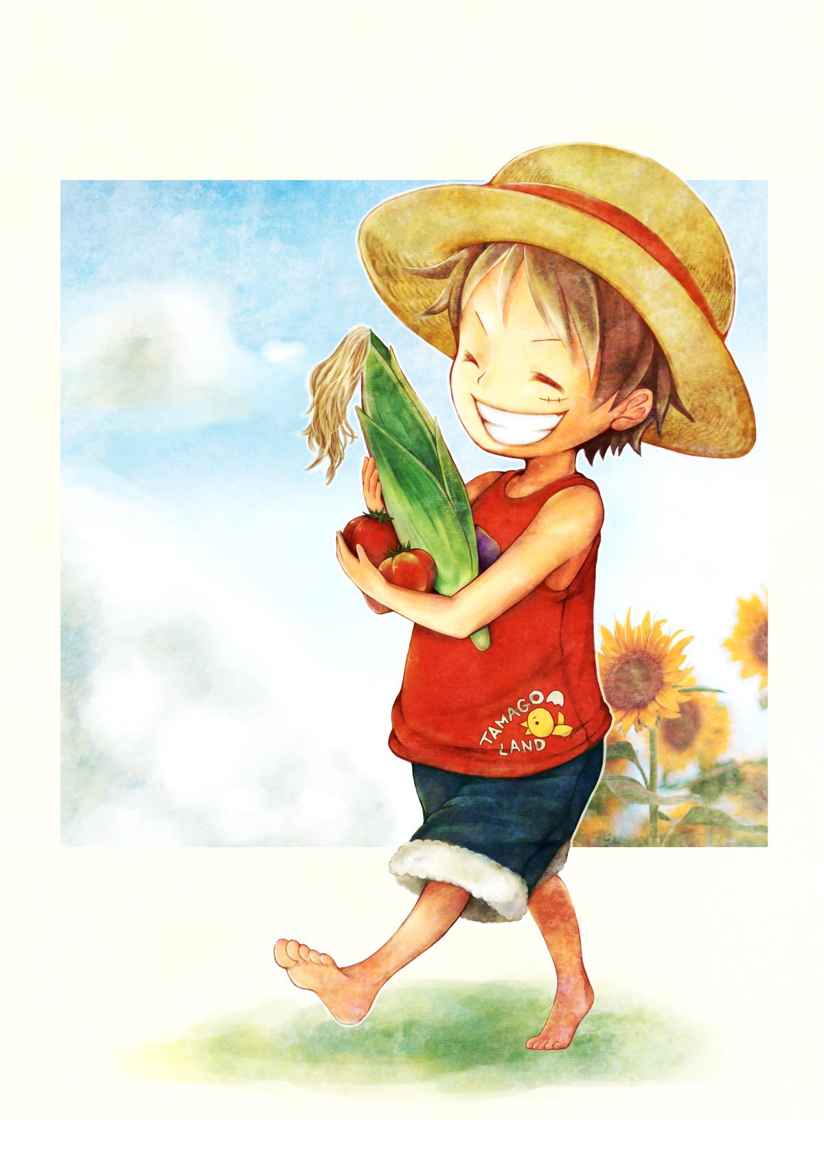 Luffy Child Wallpapers - Top Free Luffy Child Backgrounds - WallpaperAccess