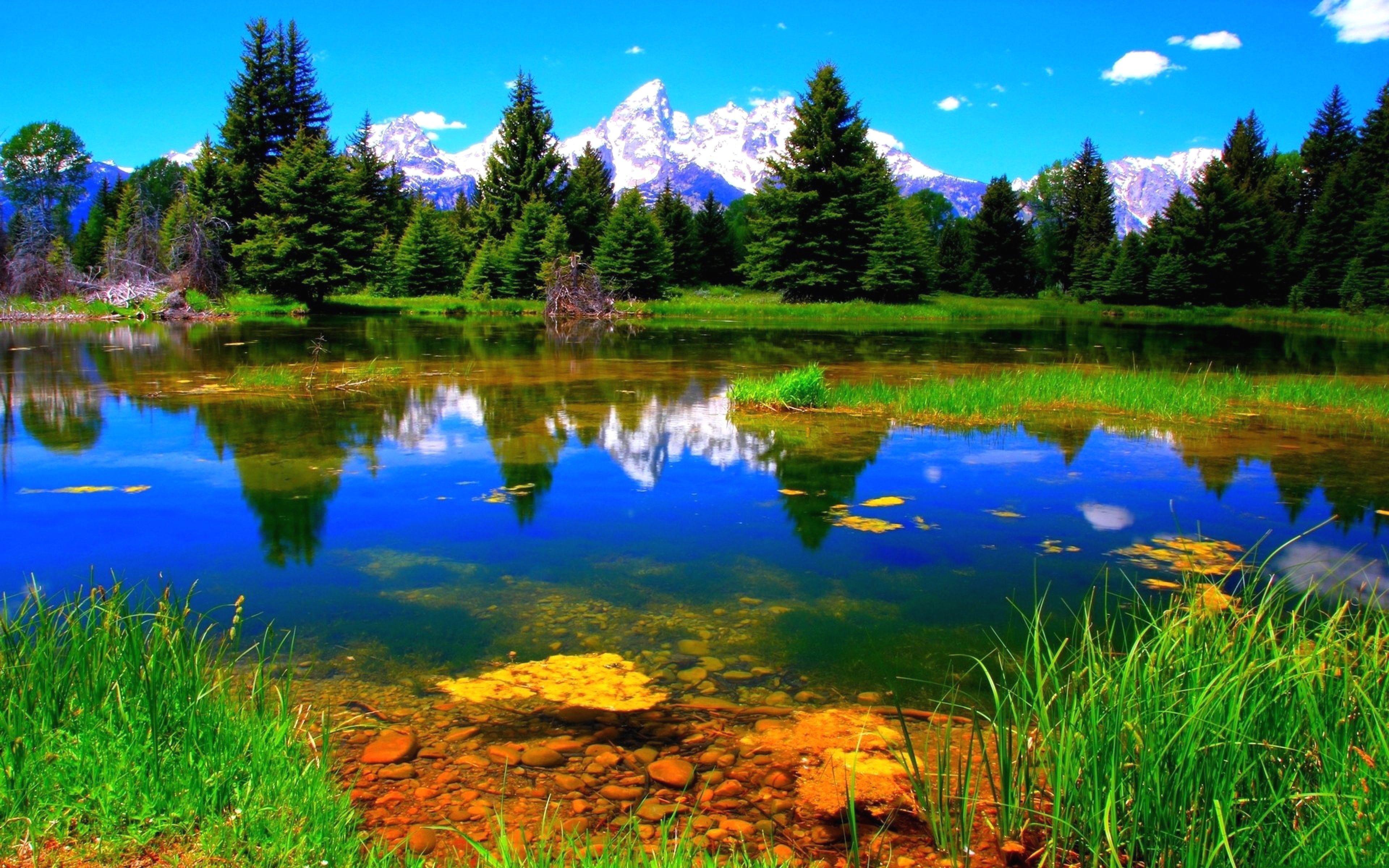 A 4K Ulta HD Wallpapers - Top Free A 4K Ulta HD Backgrounds ...
