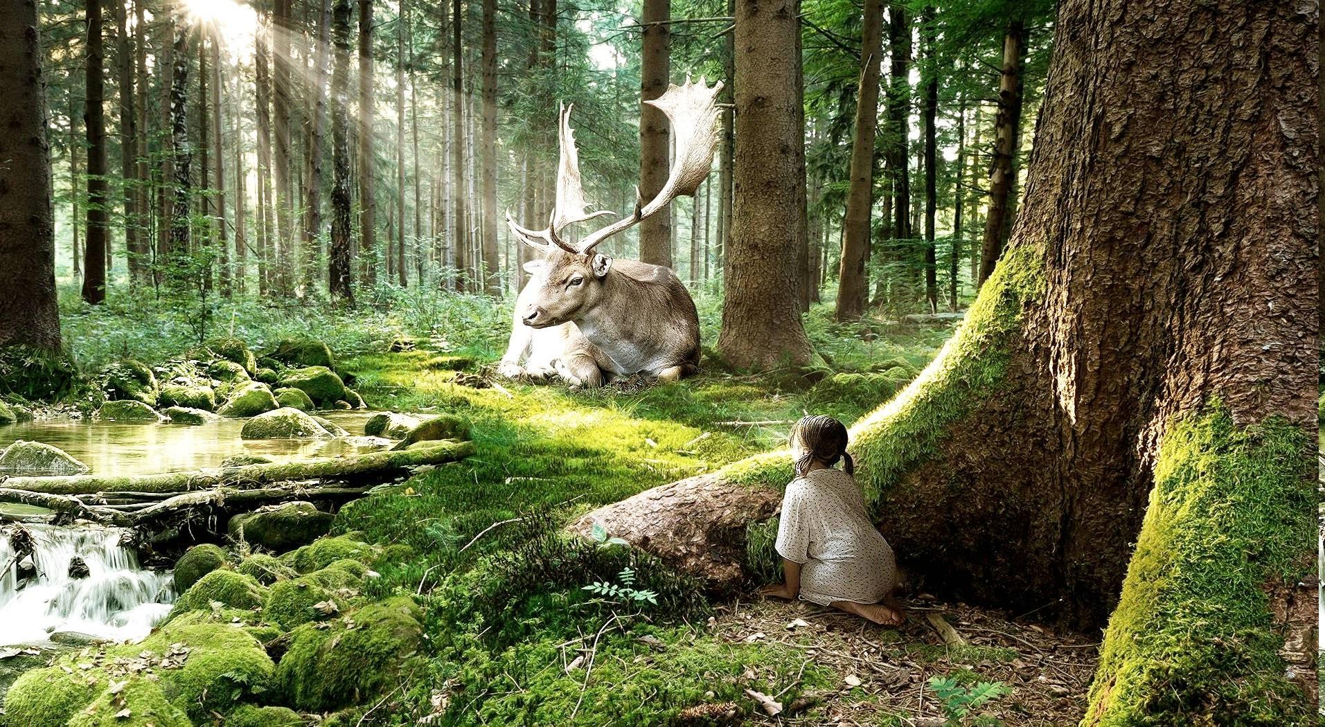 Nature With Animals Wallpapers - Top Free Nature With Animals ...