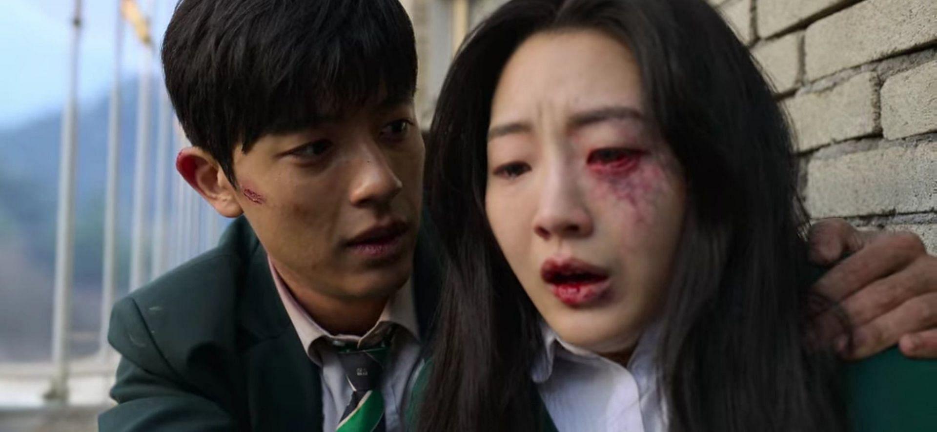 Namra Wallpapers - Top Free Namra Backgrounds - WallpaperAccess