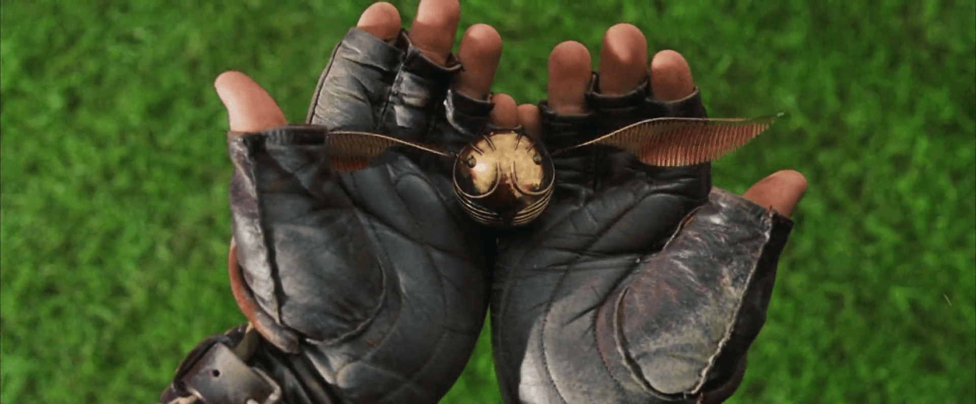 Snitch Harry Potter Wallpapers - Top Free Snitch Harry Potter ...