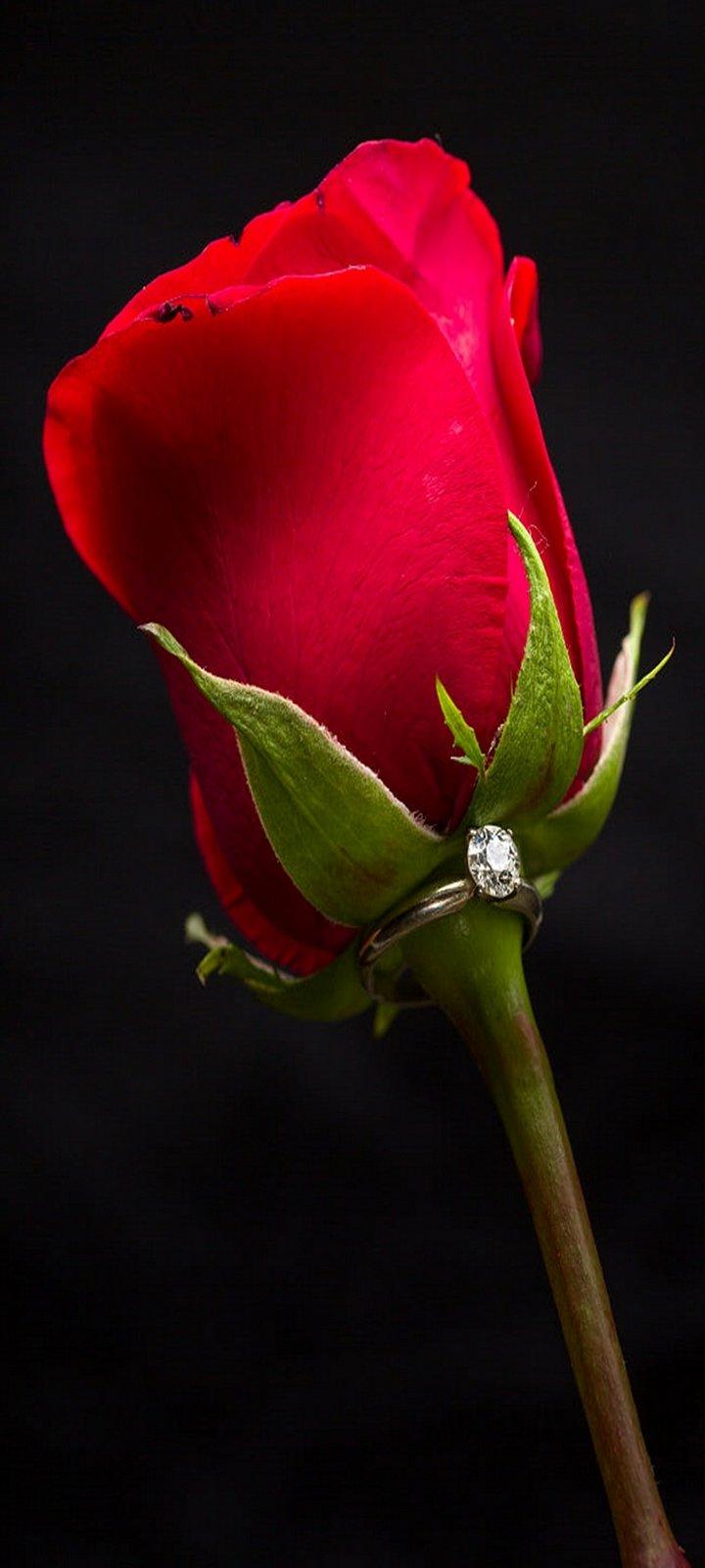 Oppo A16 Wallpapers - Top Free Oppo A16 Backgrounds - WallpaperAccess