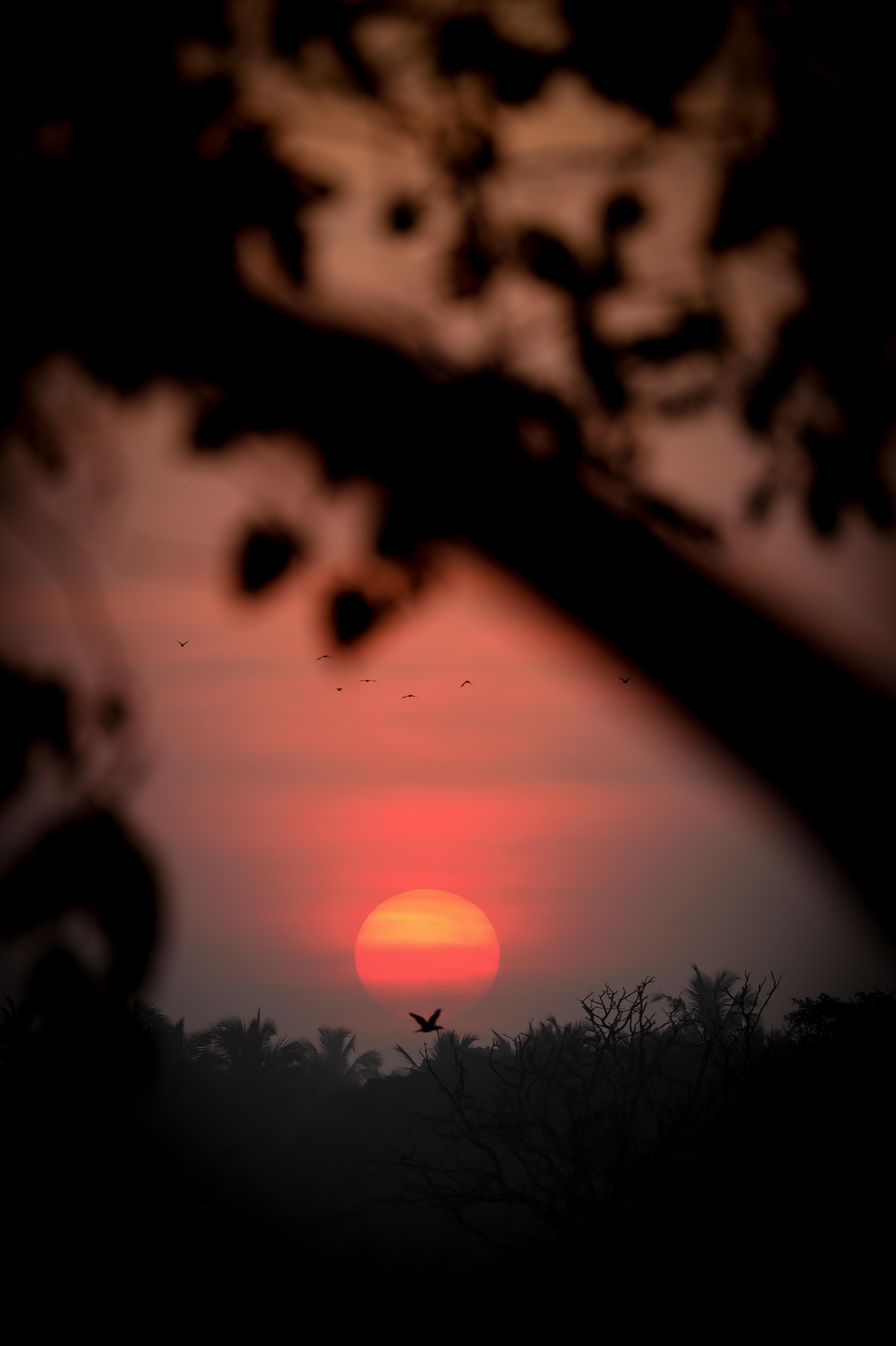 Red Sun Wallpapers - Top Free Red Sun Backgrounds - WallpaperAccess