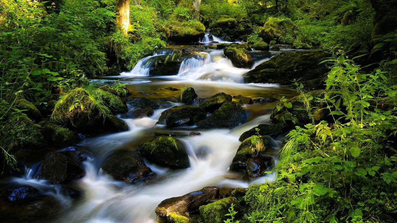 Germany Nature Wallpapers - Top Free Germany Nature Backgrounds ...