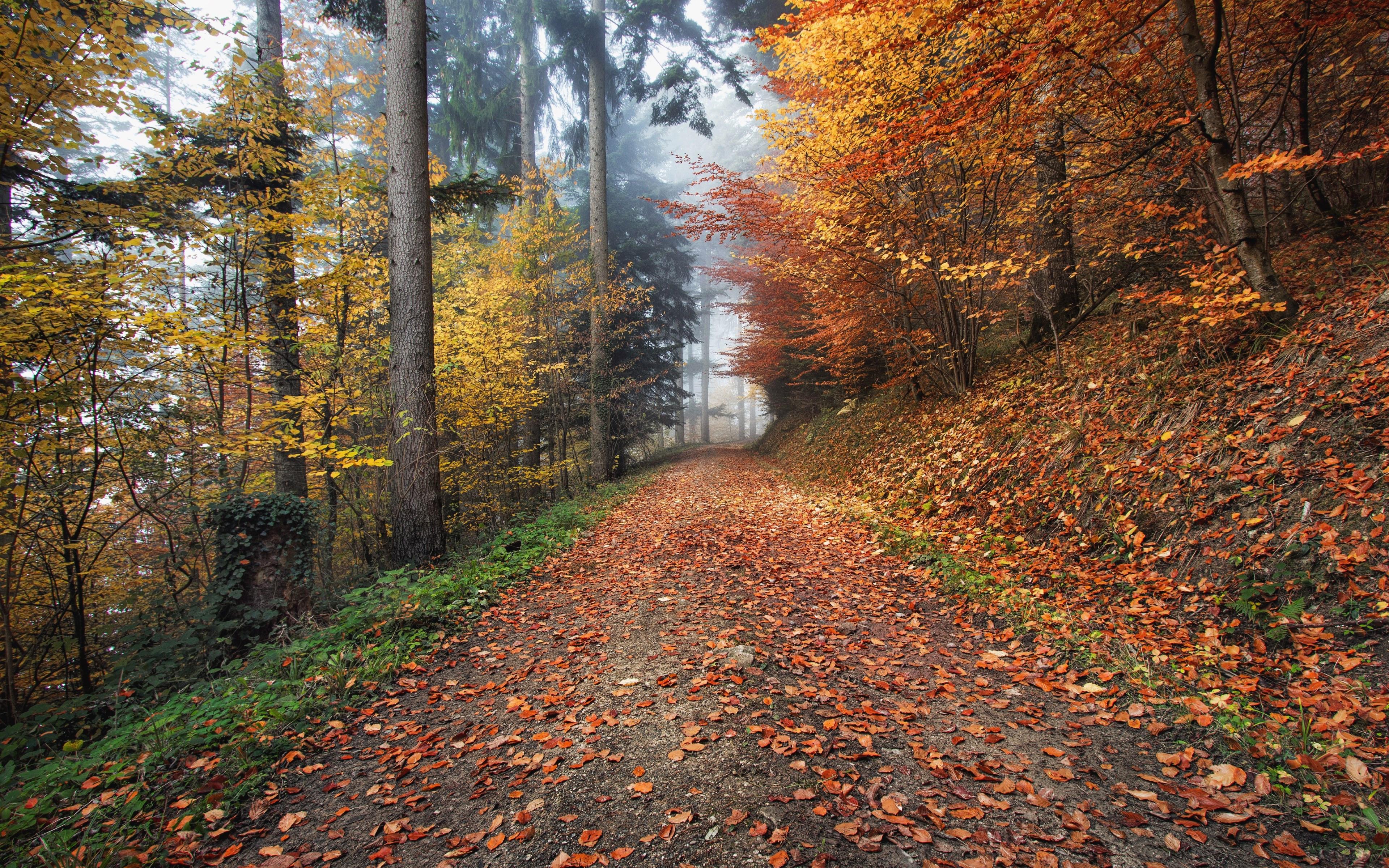 Germany Nature Wallpapers - Top Free Germany Nature Backgrounds ...