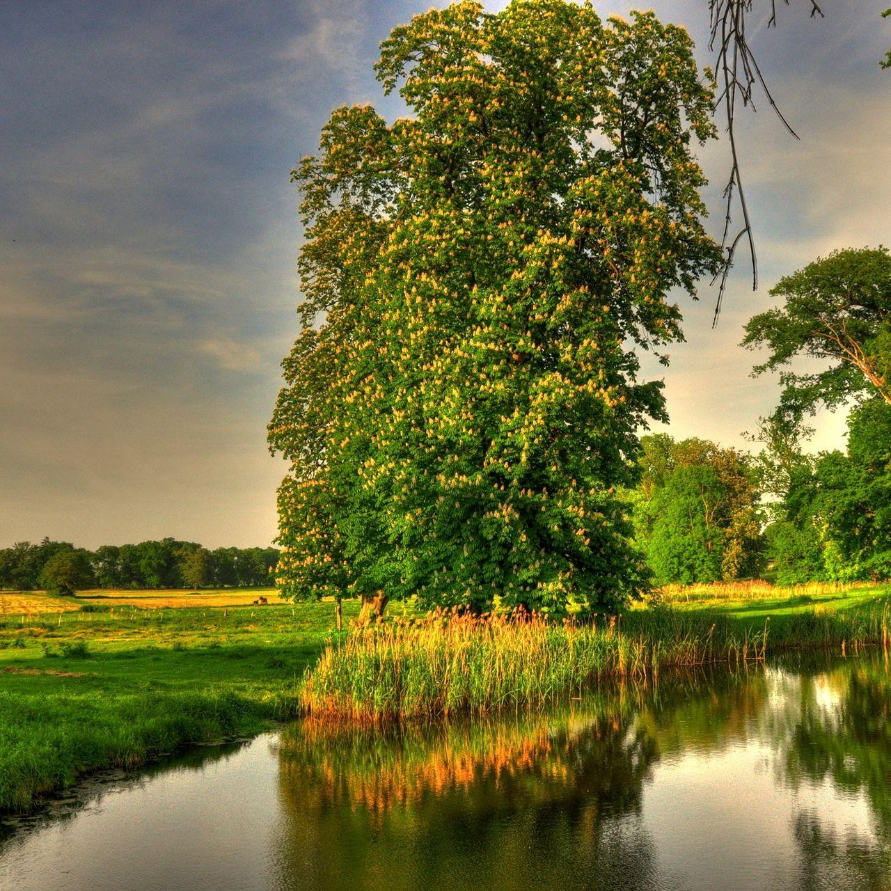 Germany Nature Wallpapers - Top Free Germany Nature Backgrounds ...