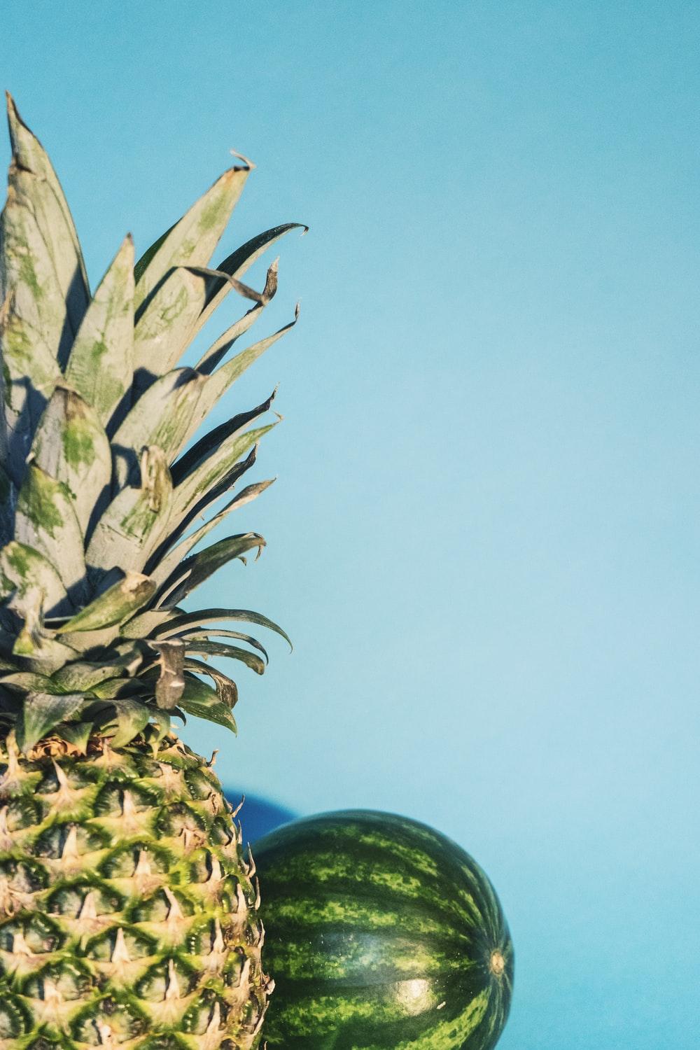 Watermelon Green Wallpapers - Top Free Watermelon Green Backgrounds ...