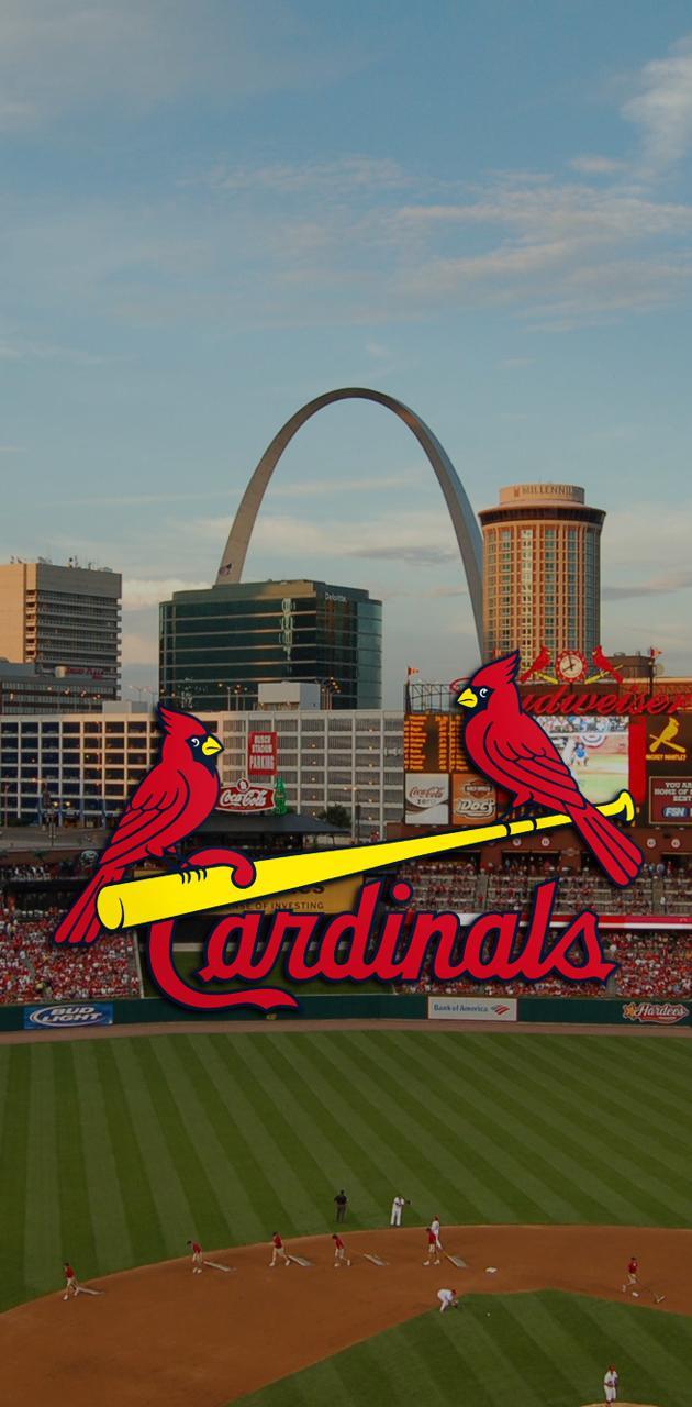 Cardinals Baseball Wallpapers - Top Free Cardinals Baseball Backgrounds - WallpaperAccess
