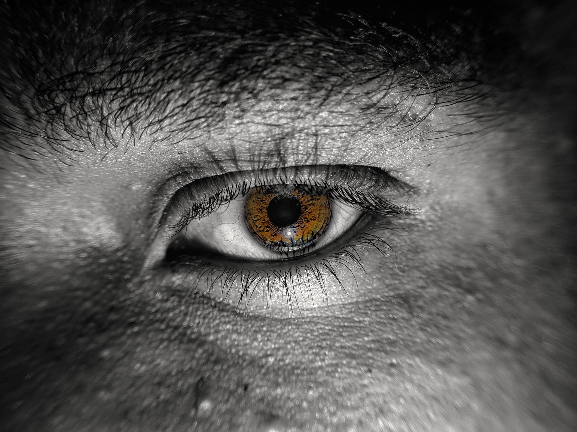 Big Eye Wallpapers - Top Free Big Eye Backgrounds - WallpaperAccess