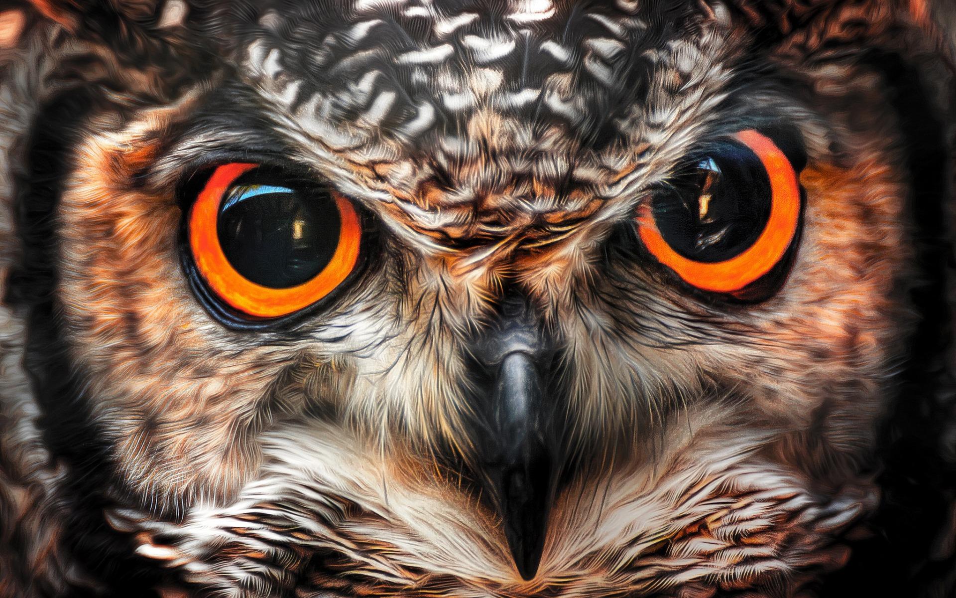 Big Eye Wallpapers - Top Free Big Eye Backgrounds - WallpaperAccess