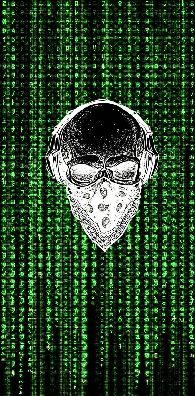 Hacker Green Wallpapers - Top Free Hacker Green Backgrounds ...